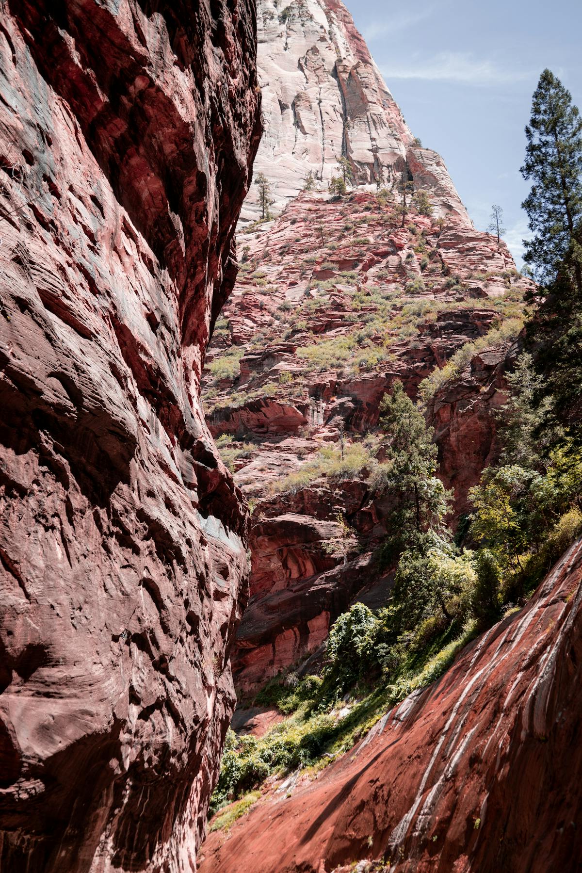 June Landscape Photos, Download The BEST Free June Landscape Stock ...