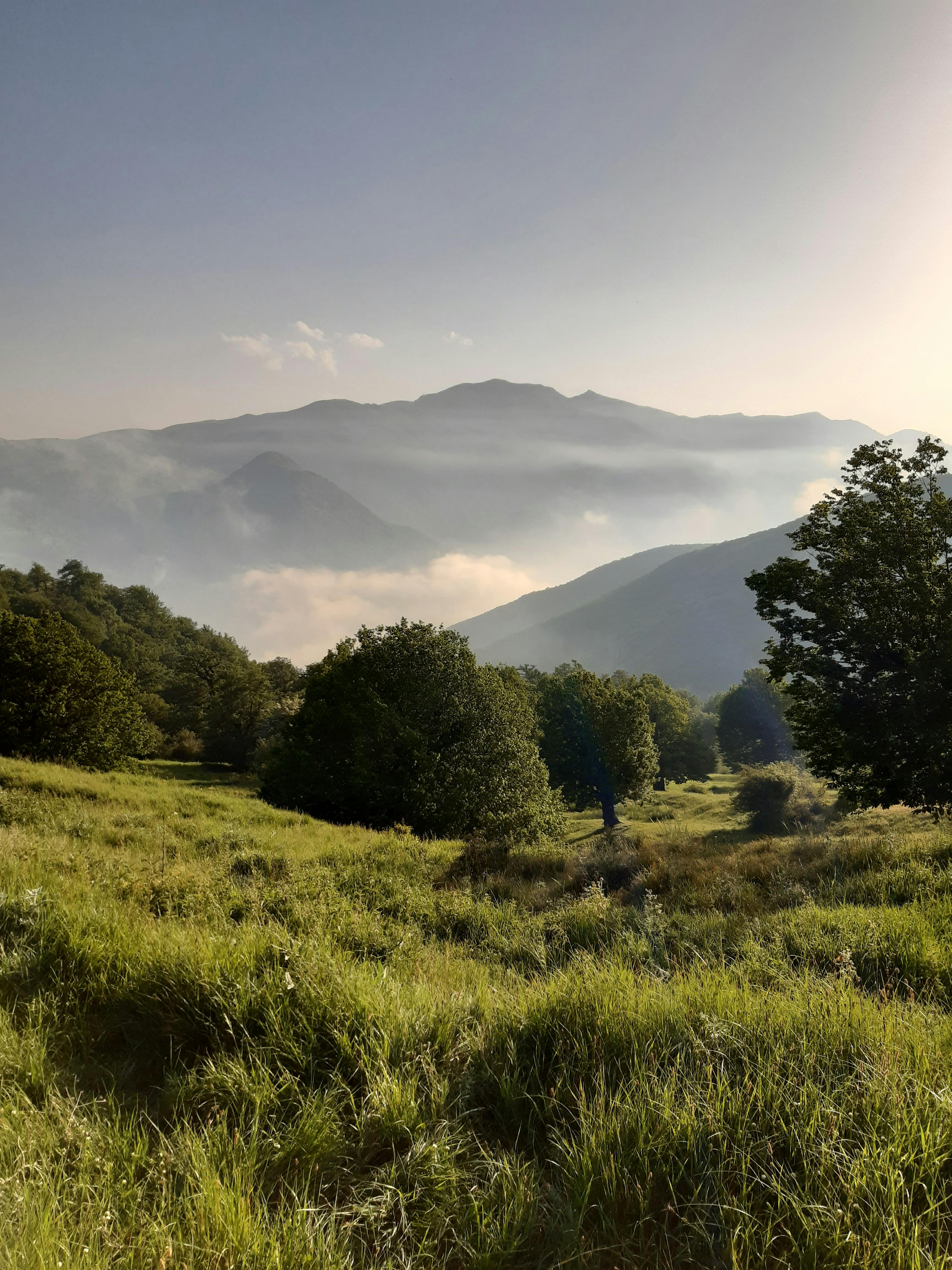 Green Mountain Painting · Free Stock Photo