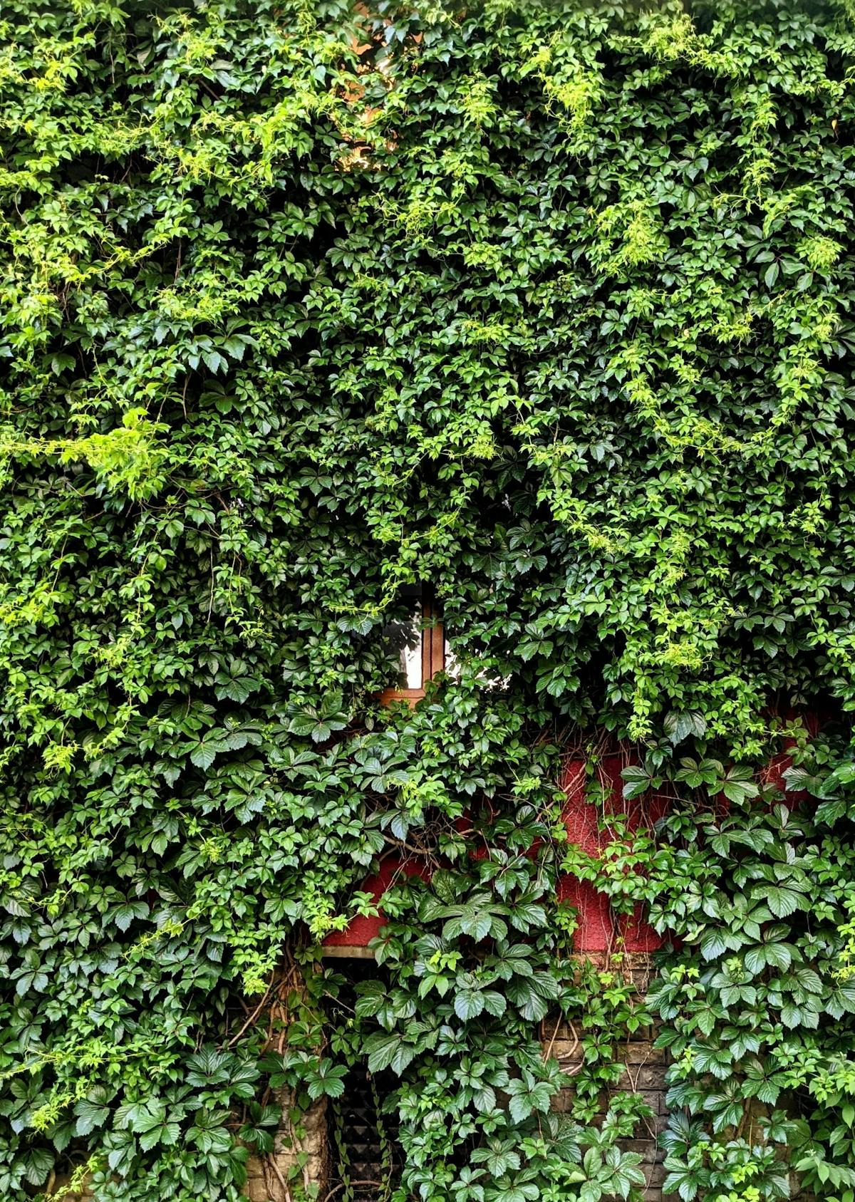 Wall Cladding Texture Photos, Download The BEST Free Wall Cladding ...