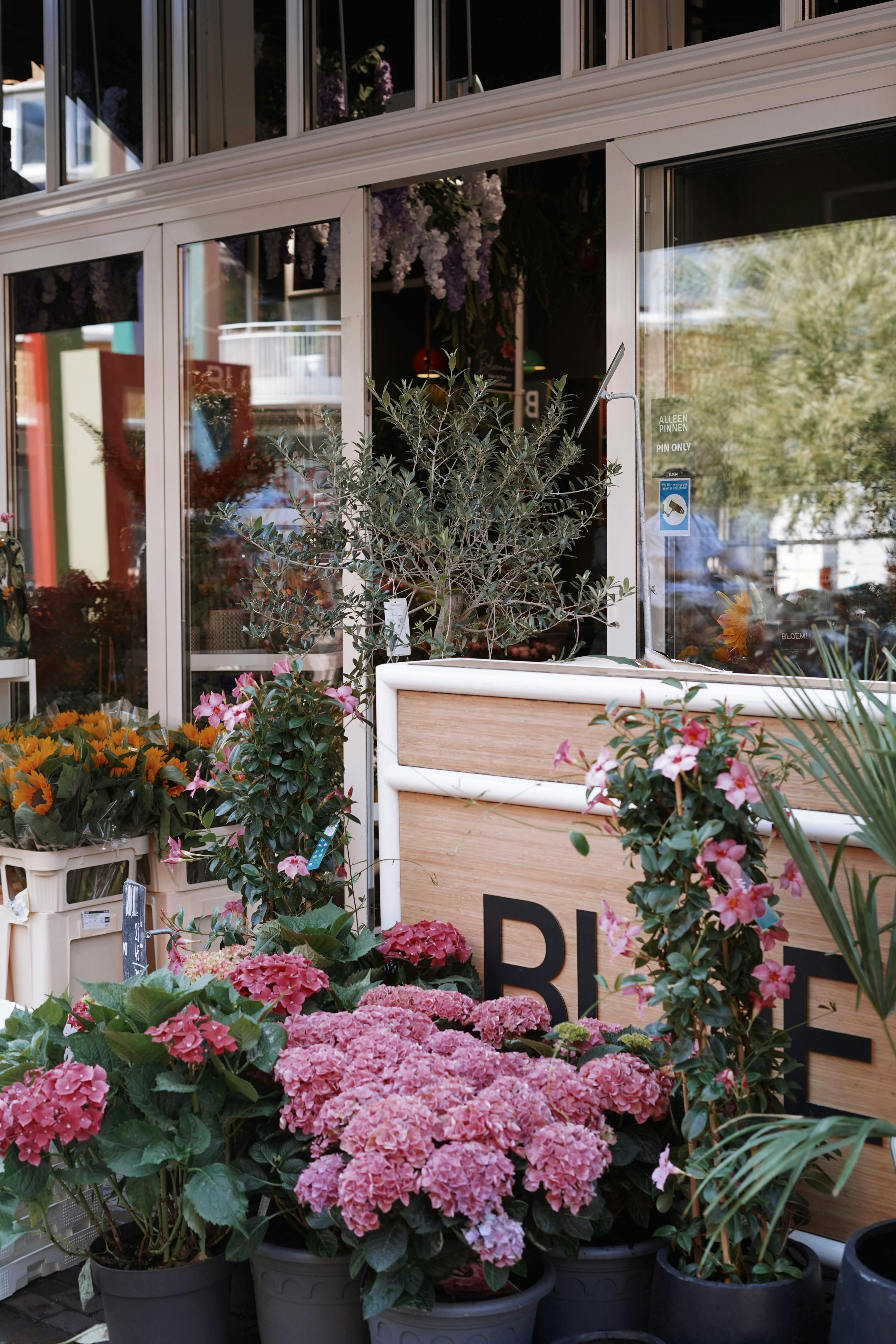 Florist Building Photos, Download The BEST Free Florist Building Stock ...