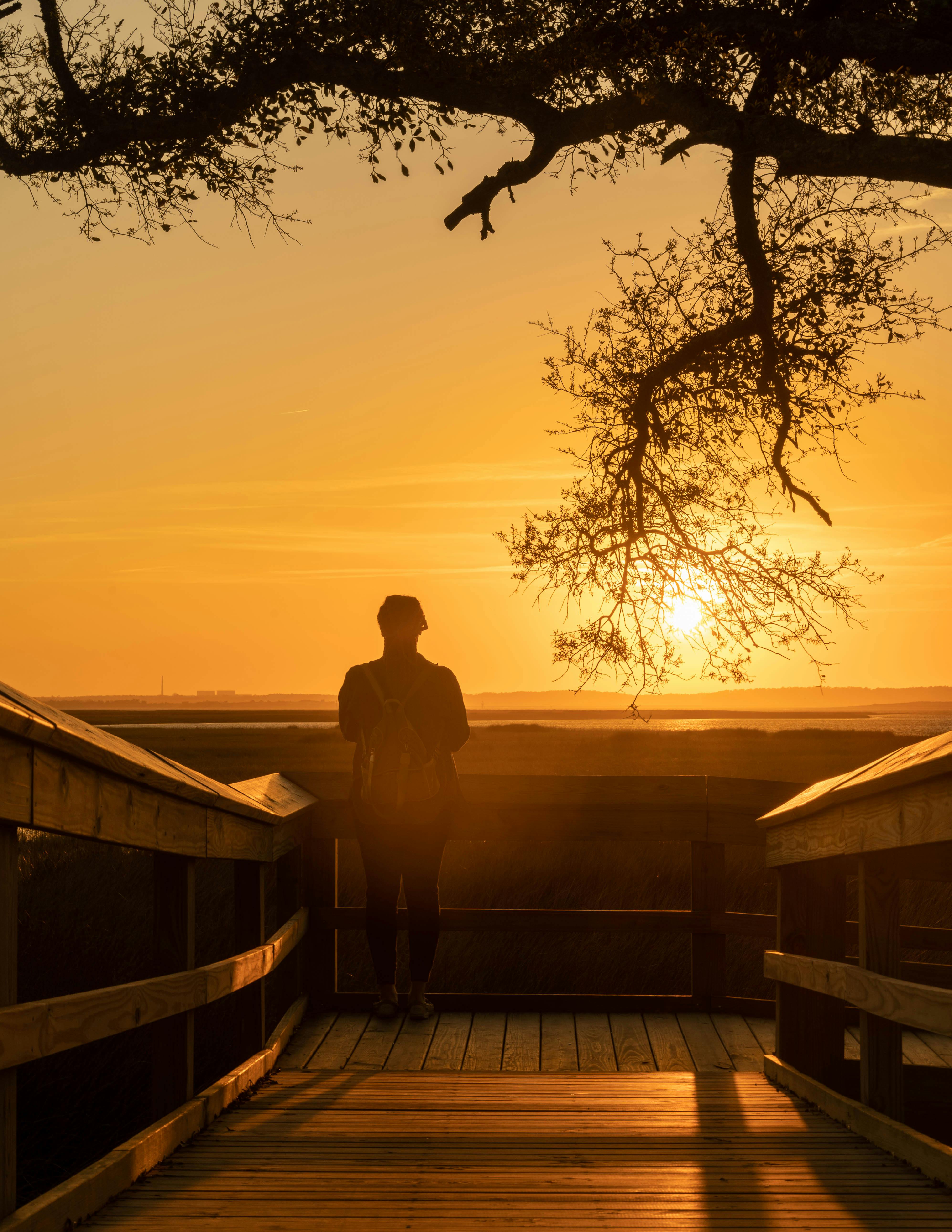Person Standing on Wooden Boardwalk at Sunset · Free Stock Photo