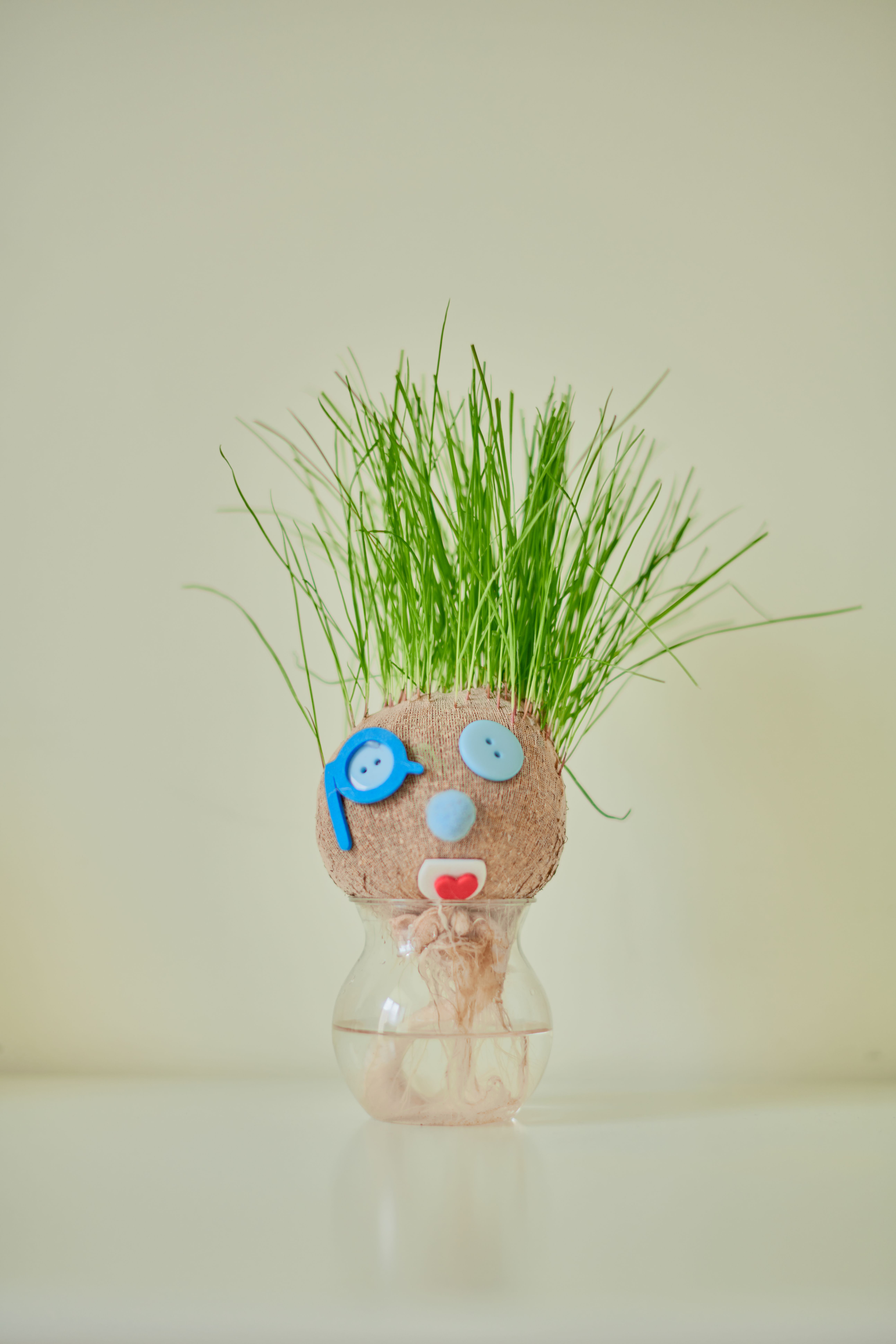 Cute Grass Head Decoration · Free Stock Photo