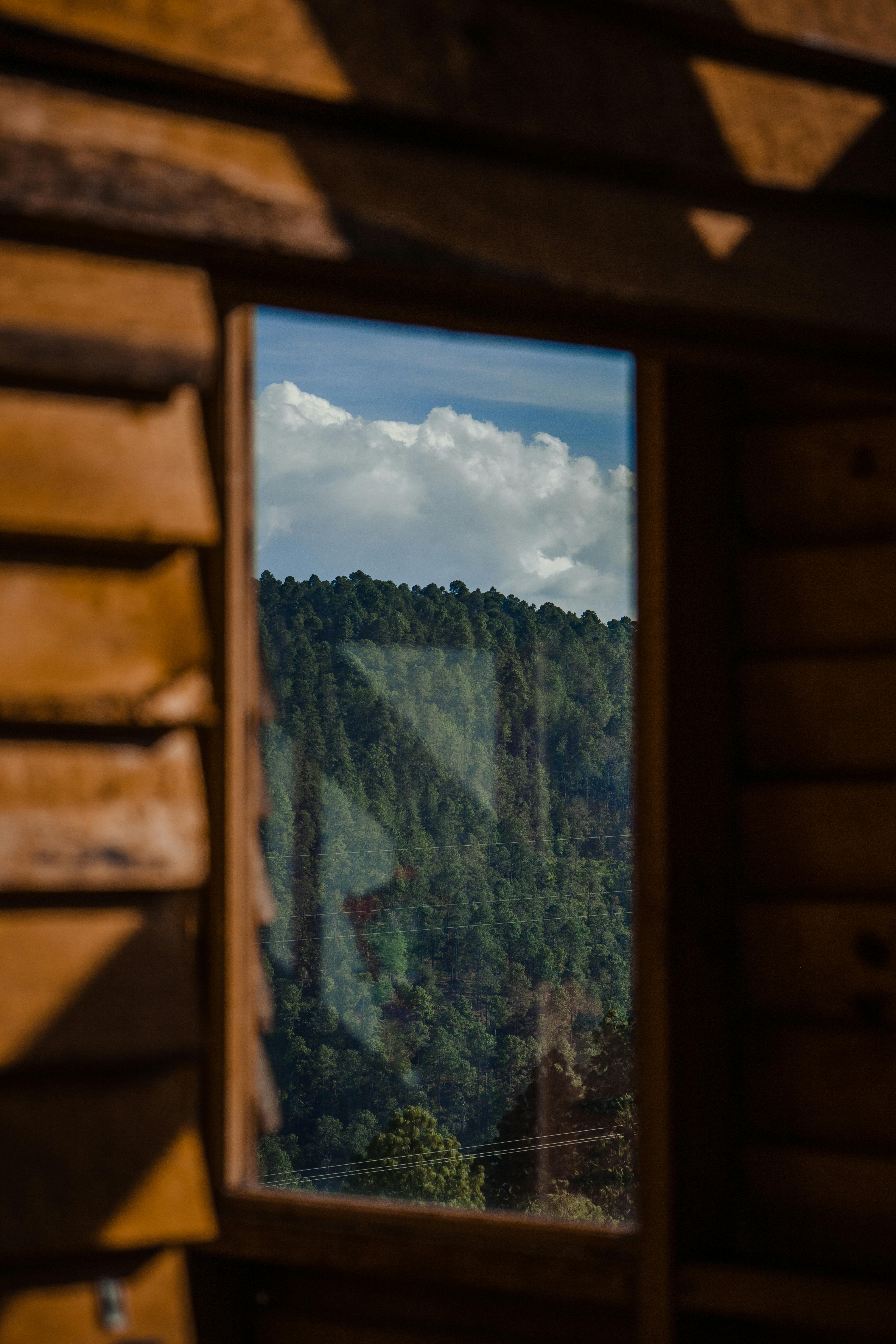 Forest View Window Photos, Download The BEST Free Forest View Window ...