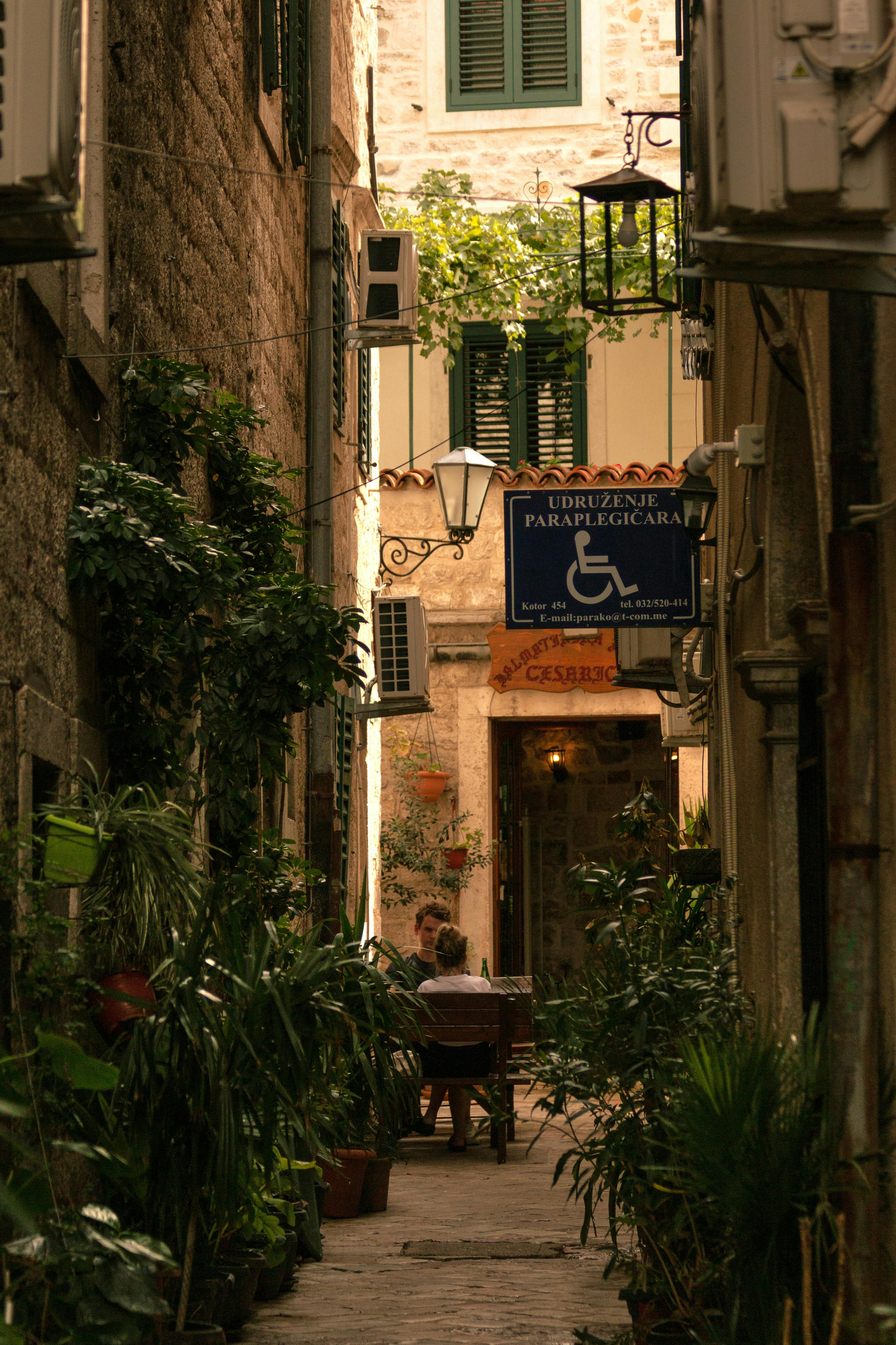 Alleyway with Plants · Free Stock Photo