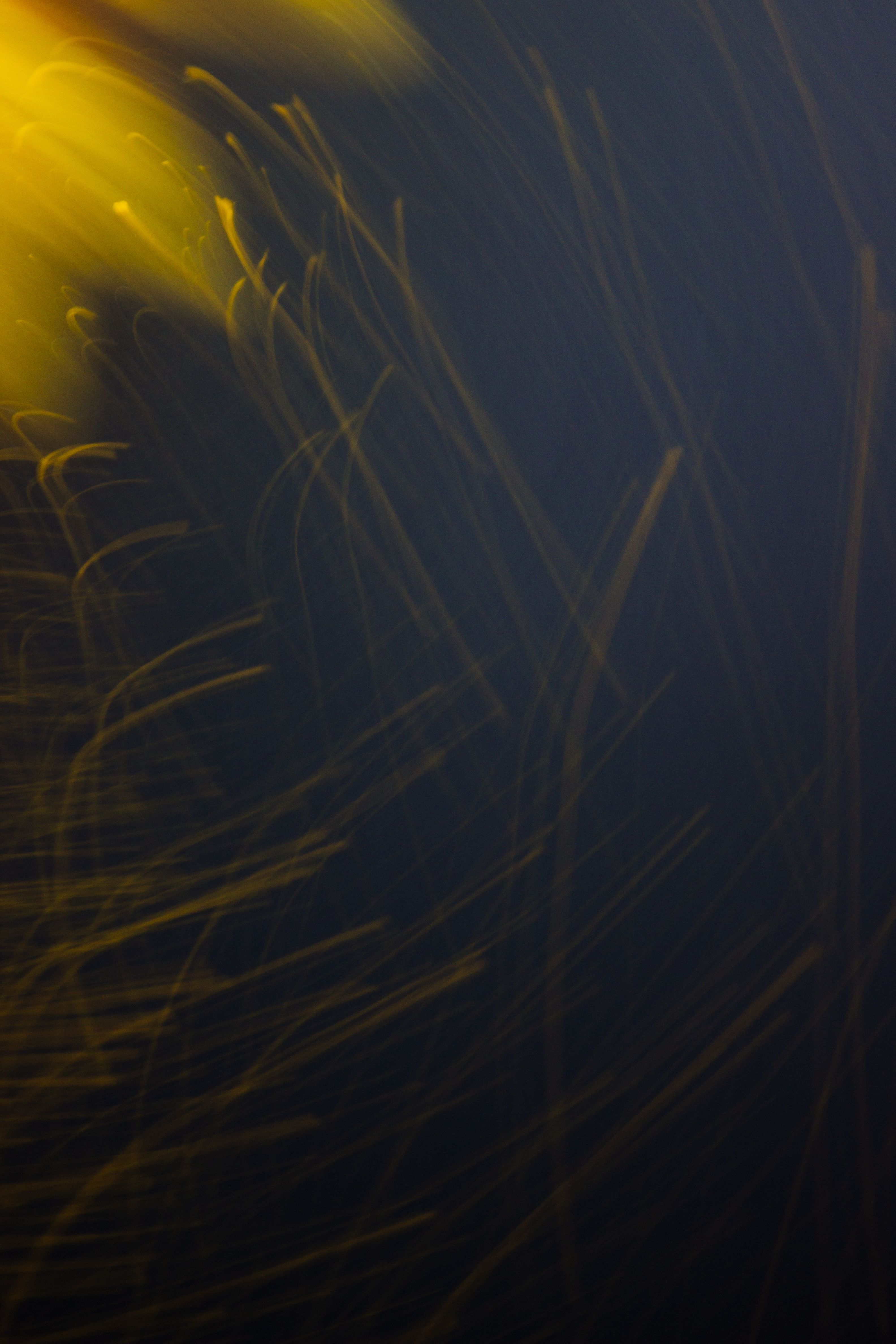 Yellow Streaks on a Dark Blue Background · Free Stock Photo