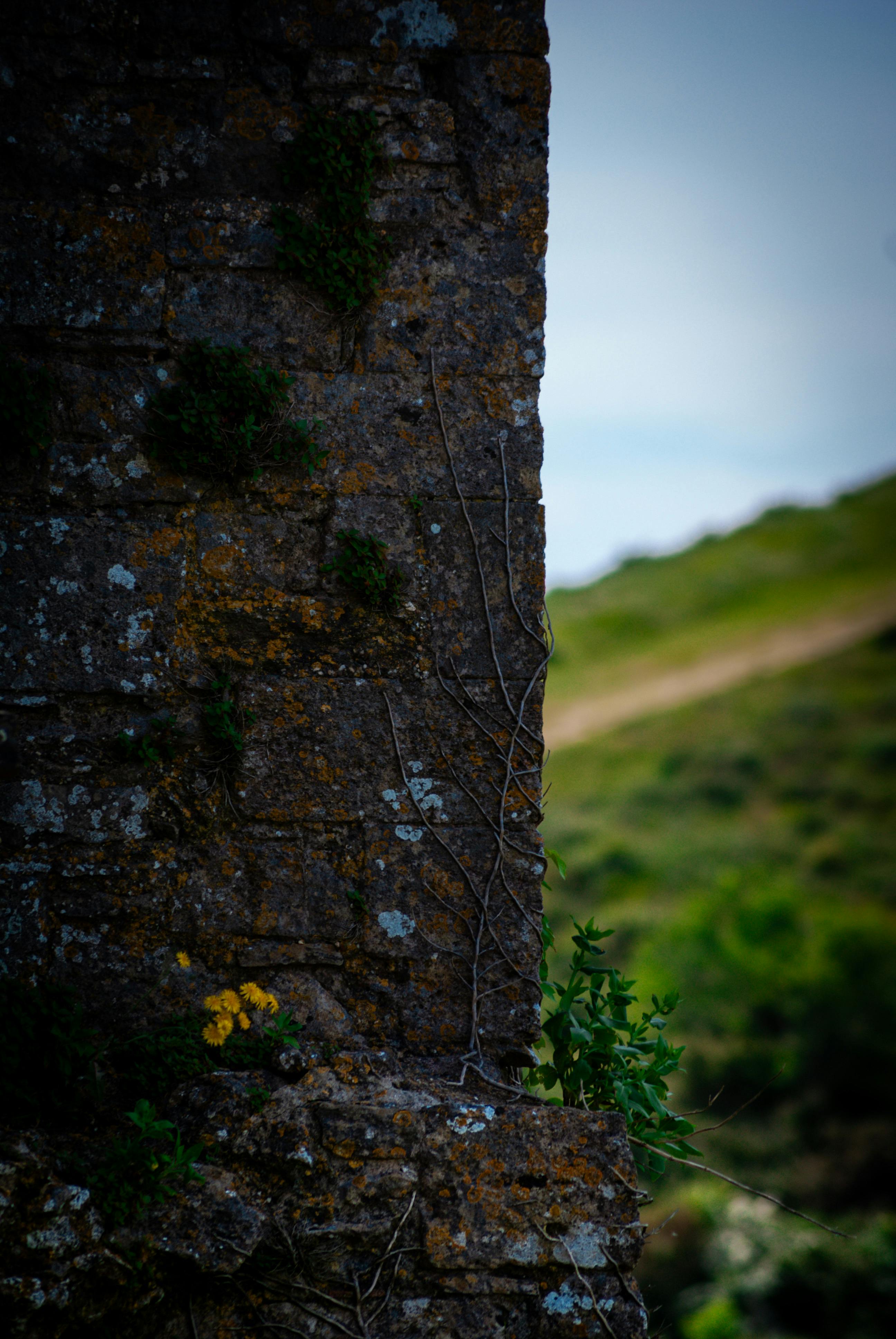Worms Climbing on String · Free Stock Photo