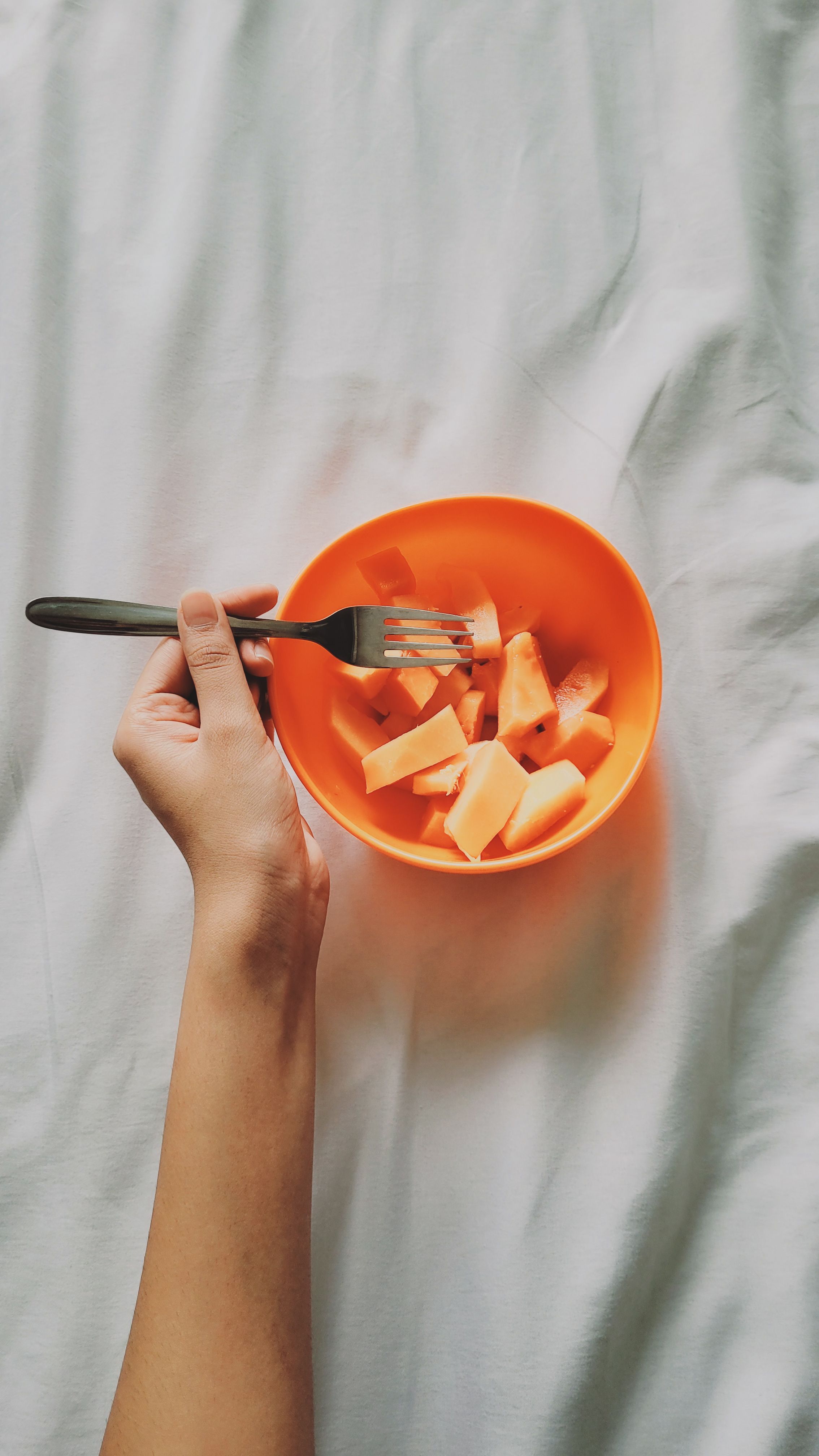 Fork Draw Photos, Download The BEST Free Fork Draw Stock Photos & HD Images