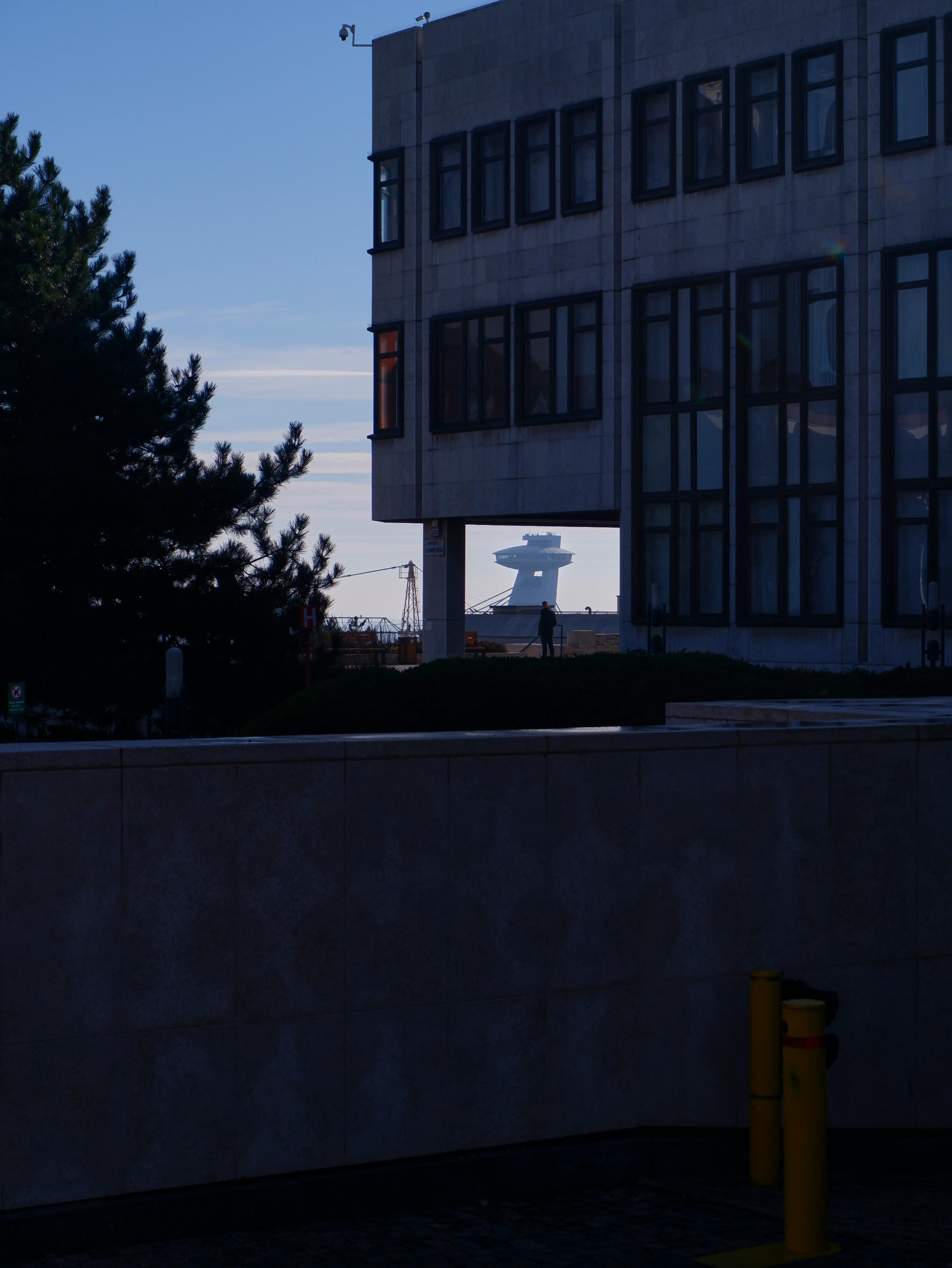 Scissors Shadow Photos, Download The BEST Free Scissors Shadow Stock ...