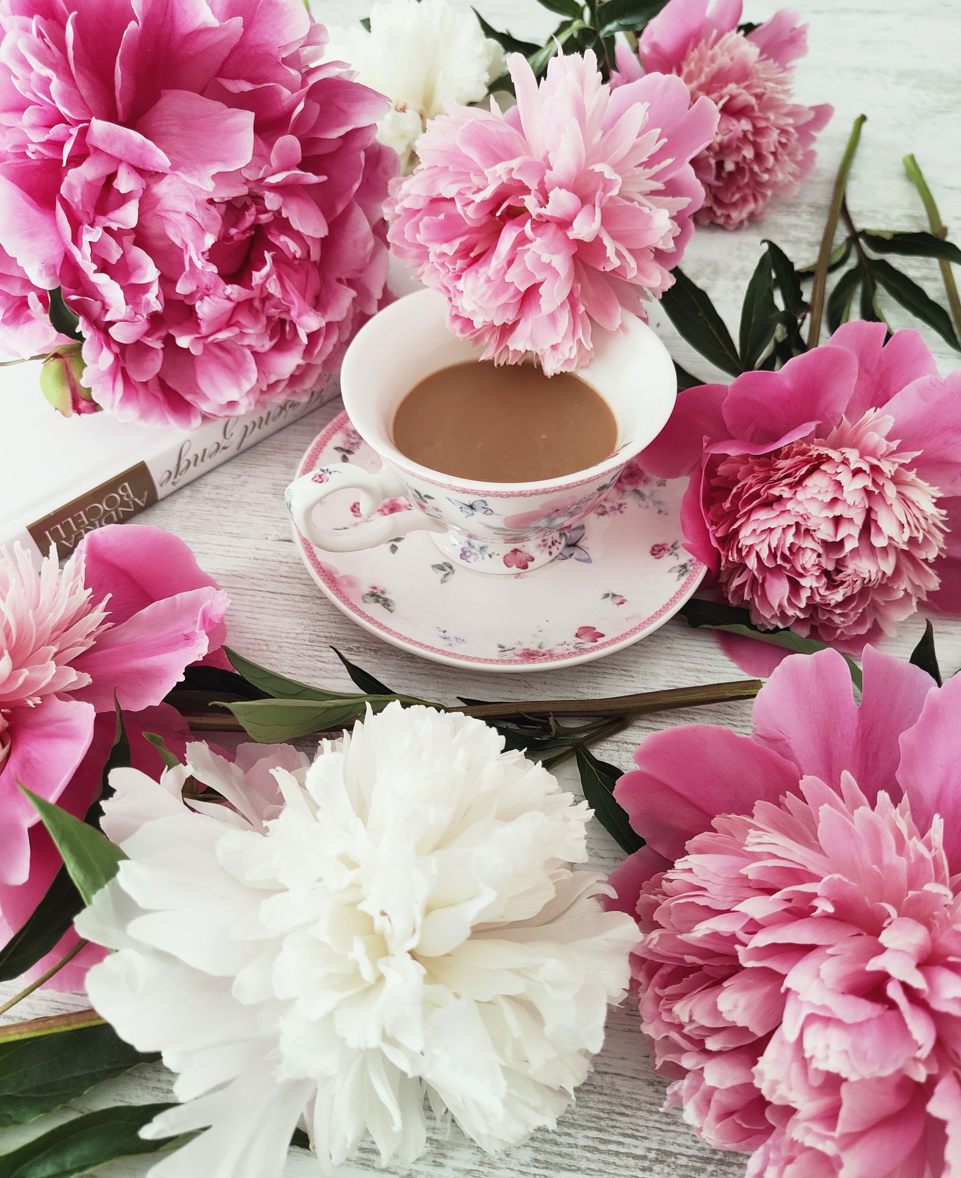 Porcelain Cup of Coffee among Pink Flowers · Free Stock Photo