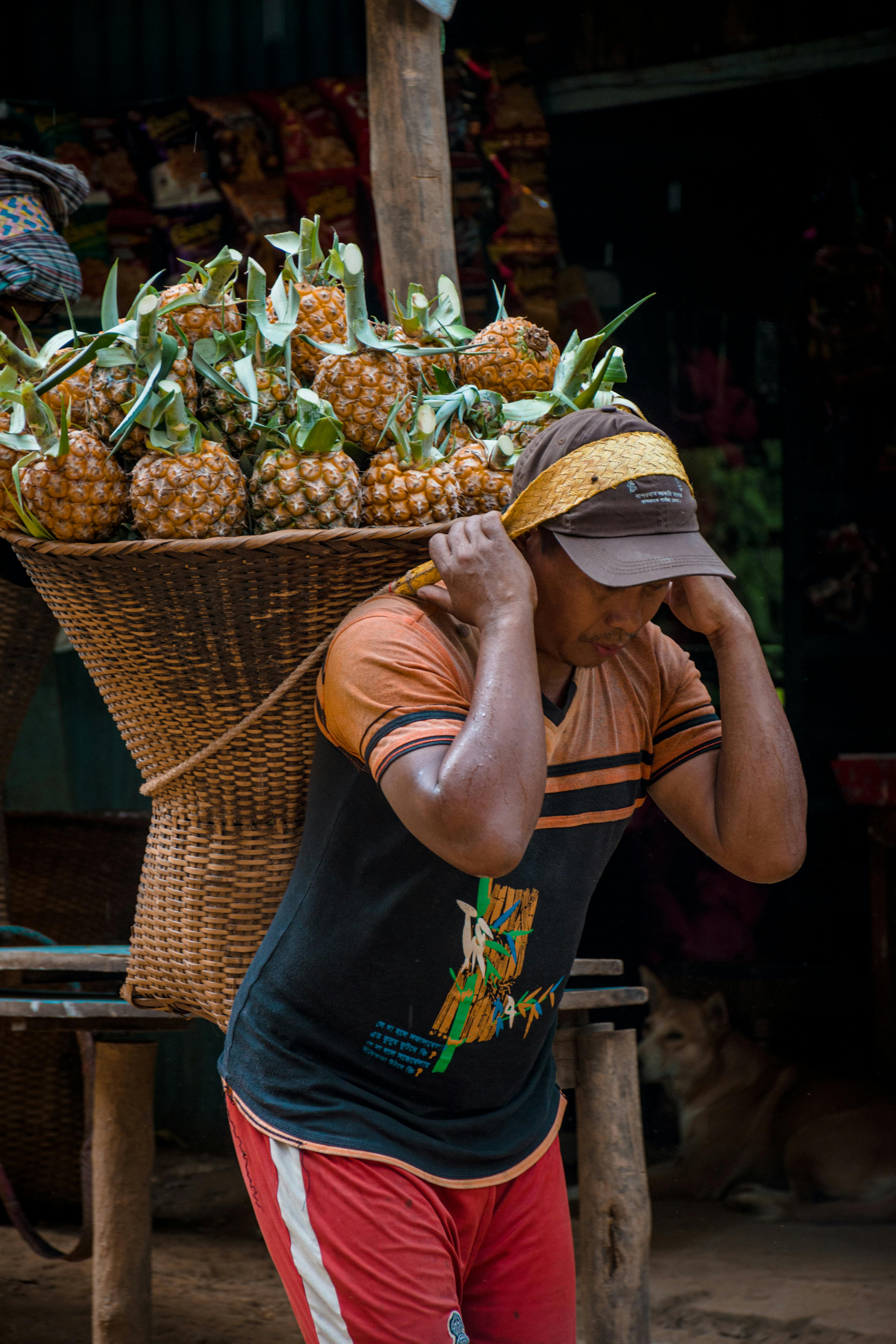 Strained Fruits Photos, Download The BEST Free Strained Fruits Stock ...