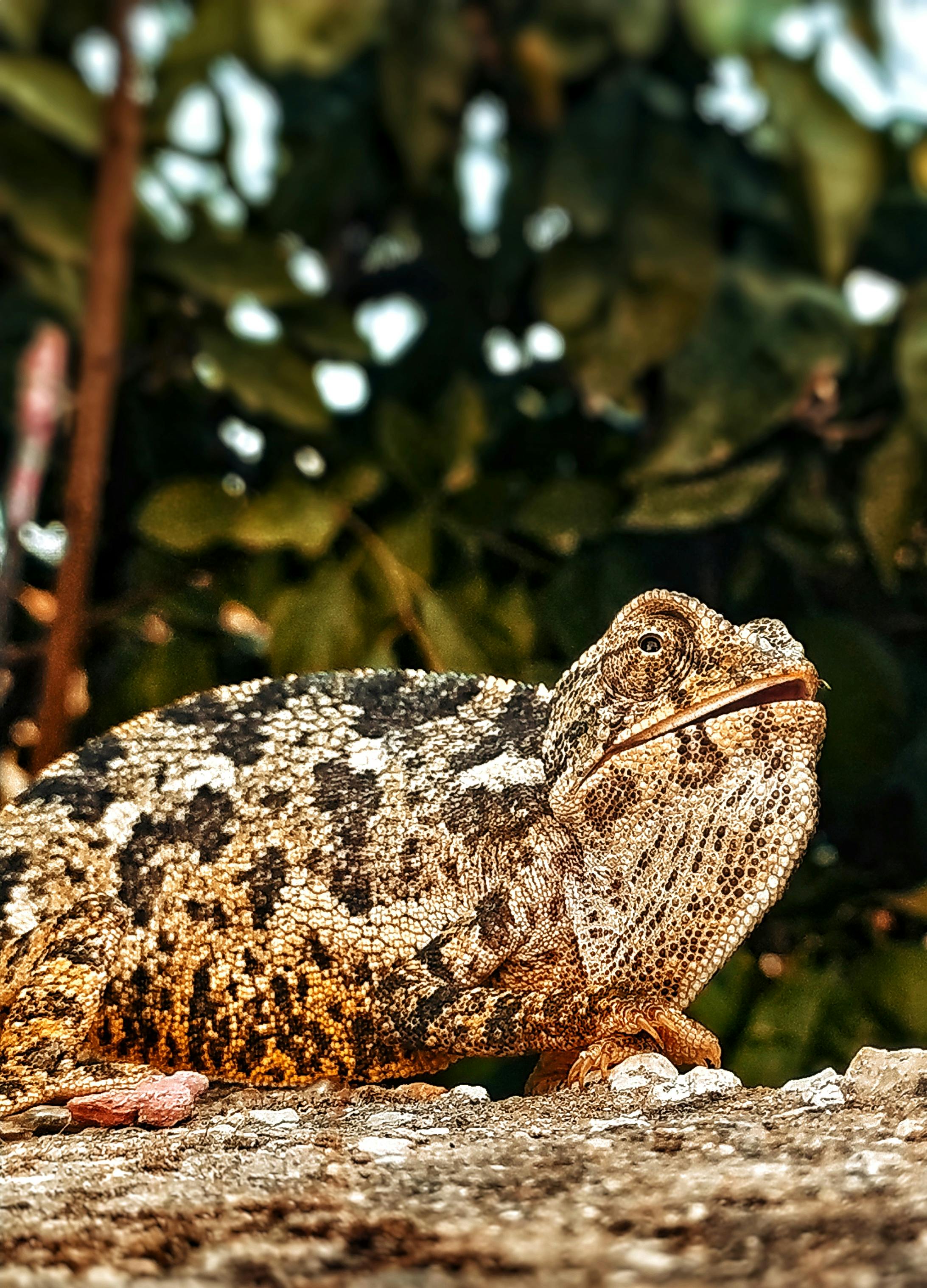 Bader Abdullah - Photography