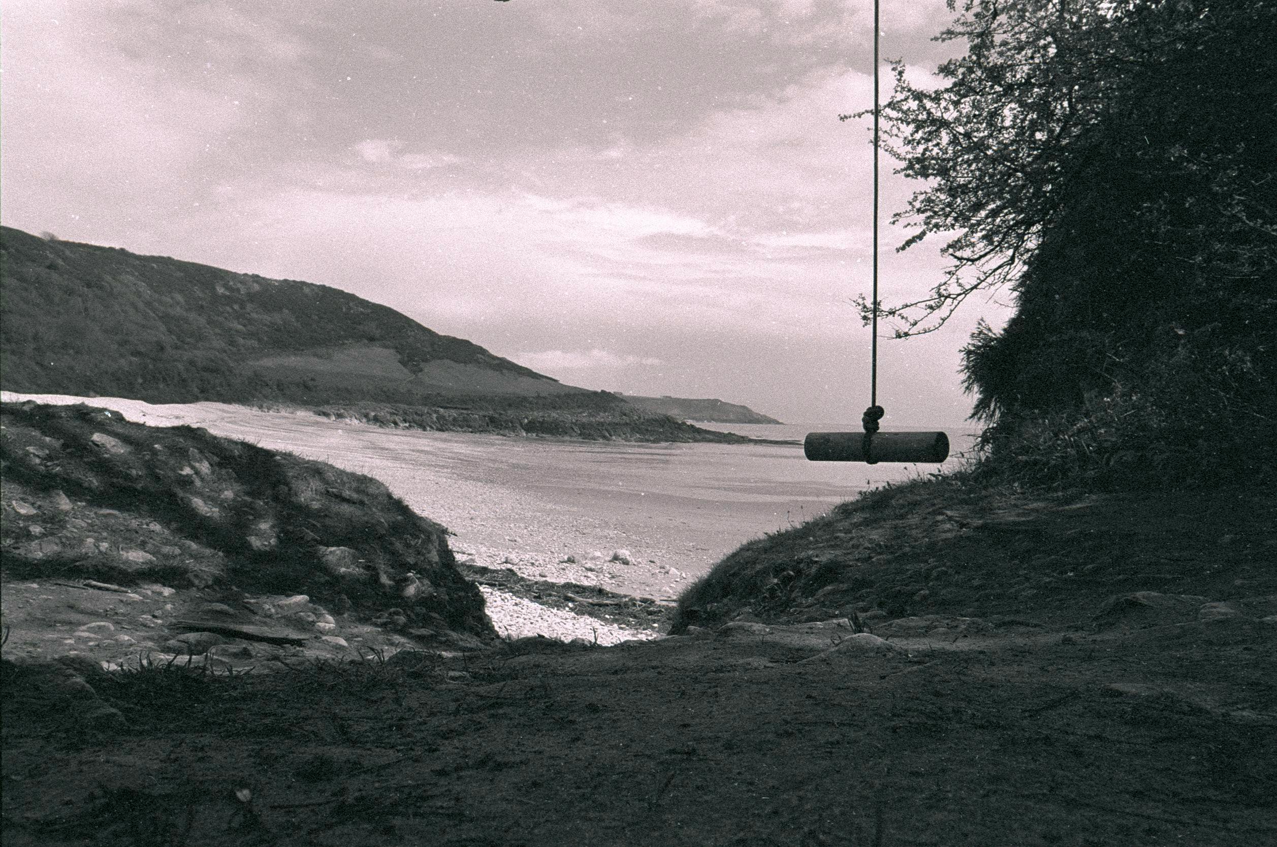 Wood Log Hanging on Sea Shore · Free Stock Photo