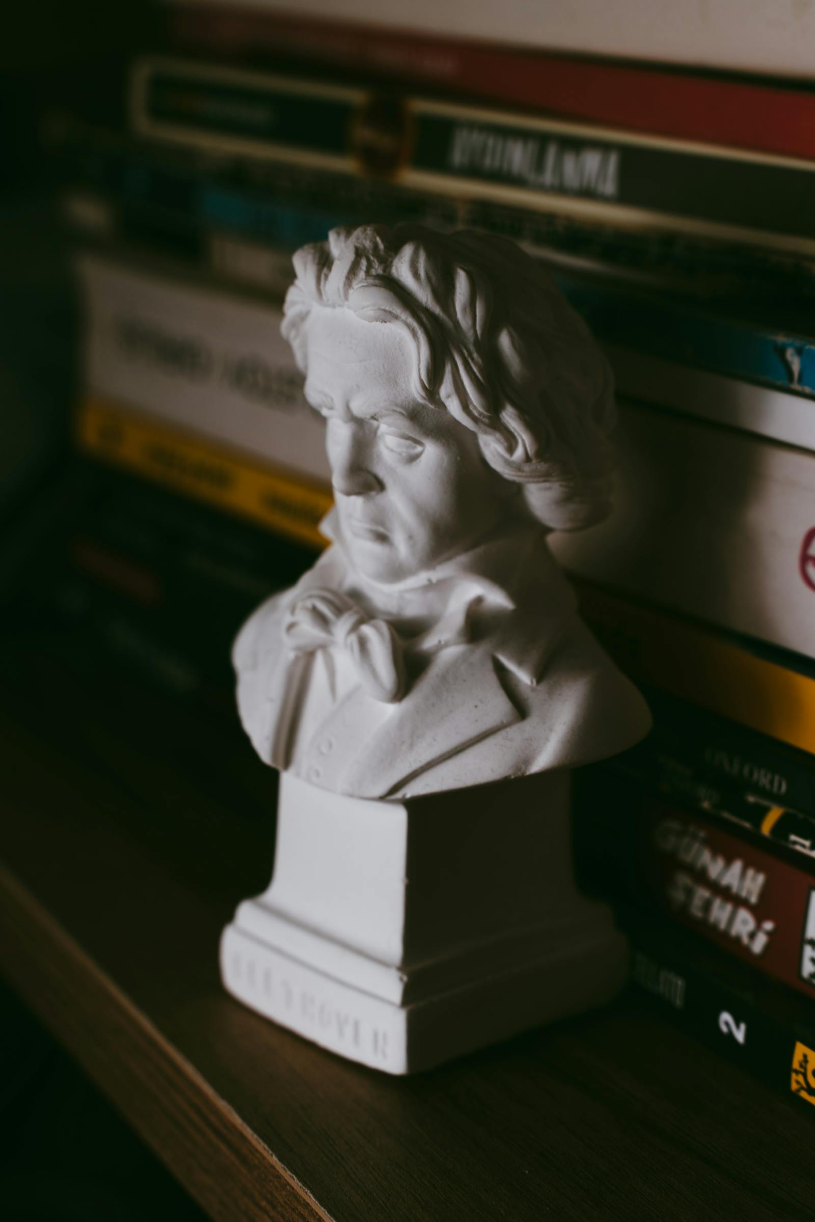 Bust Photos, Download The BEST Free Bust Stock Photos & HD Images