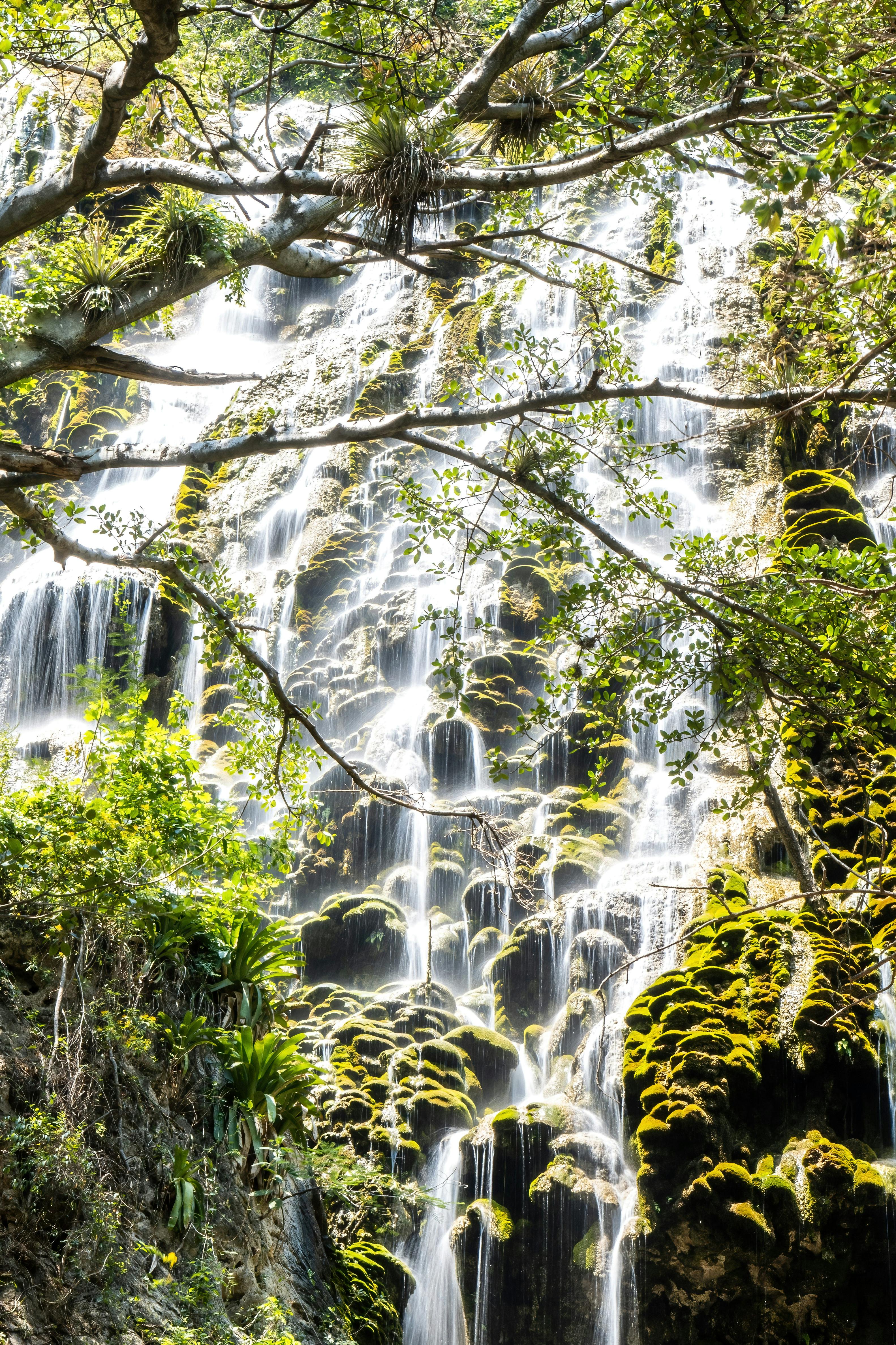 Lacustrine Environment Photos, Download The BEST Free Lacustrine ...