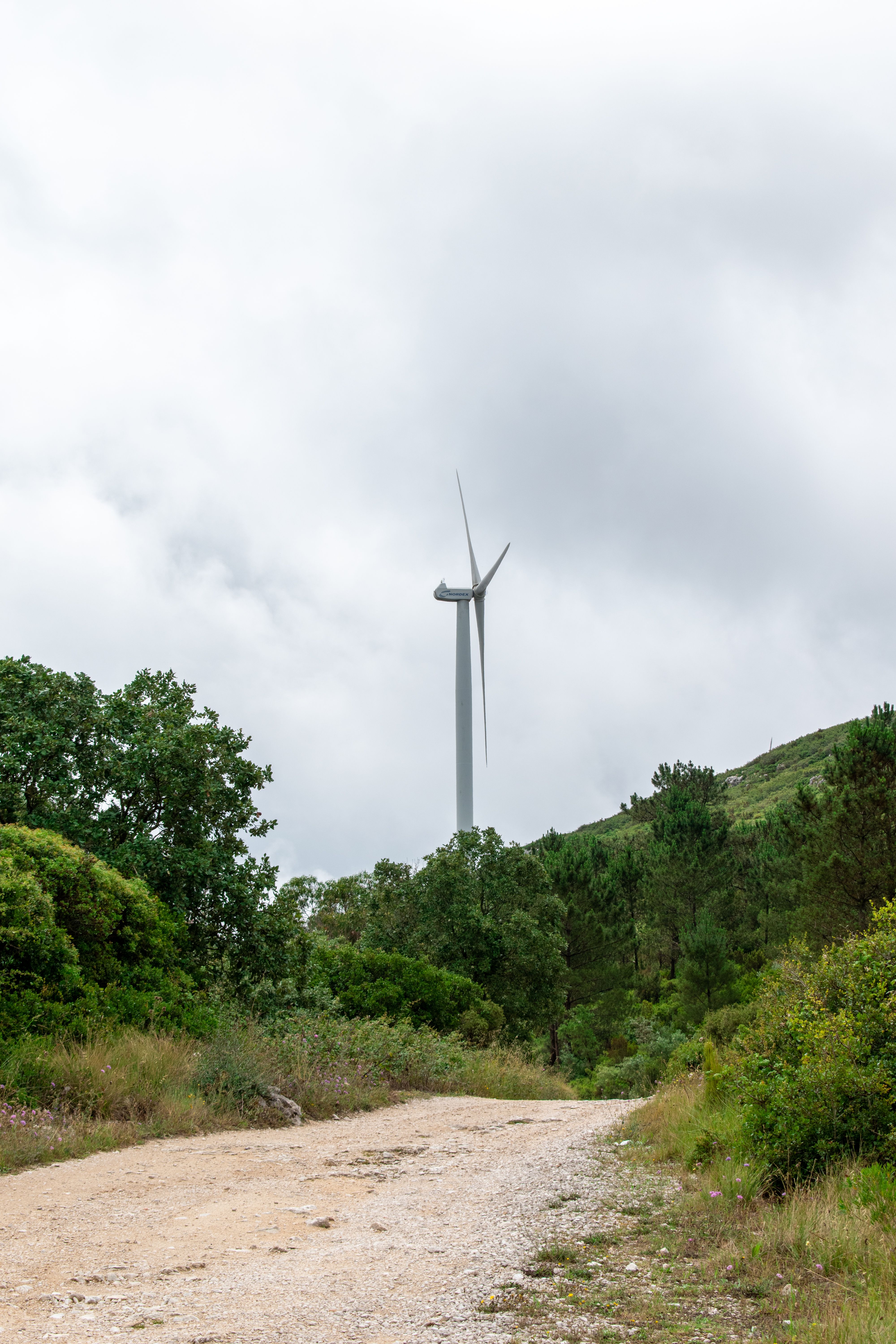 Windmill in Green Nature Landscape in Countryside · Free Stock Photo