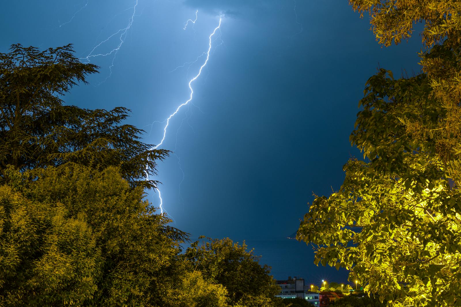 Forest Thunder Photos, Download The BEST Free Forest Thunder Stock ...