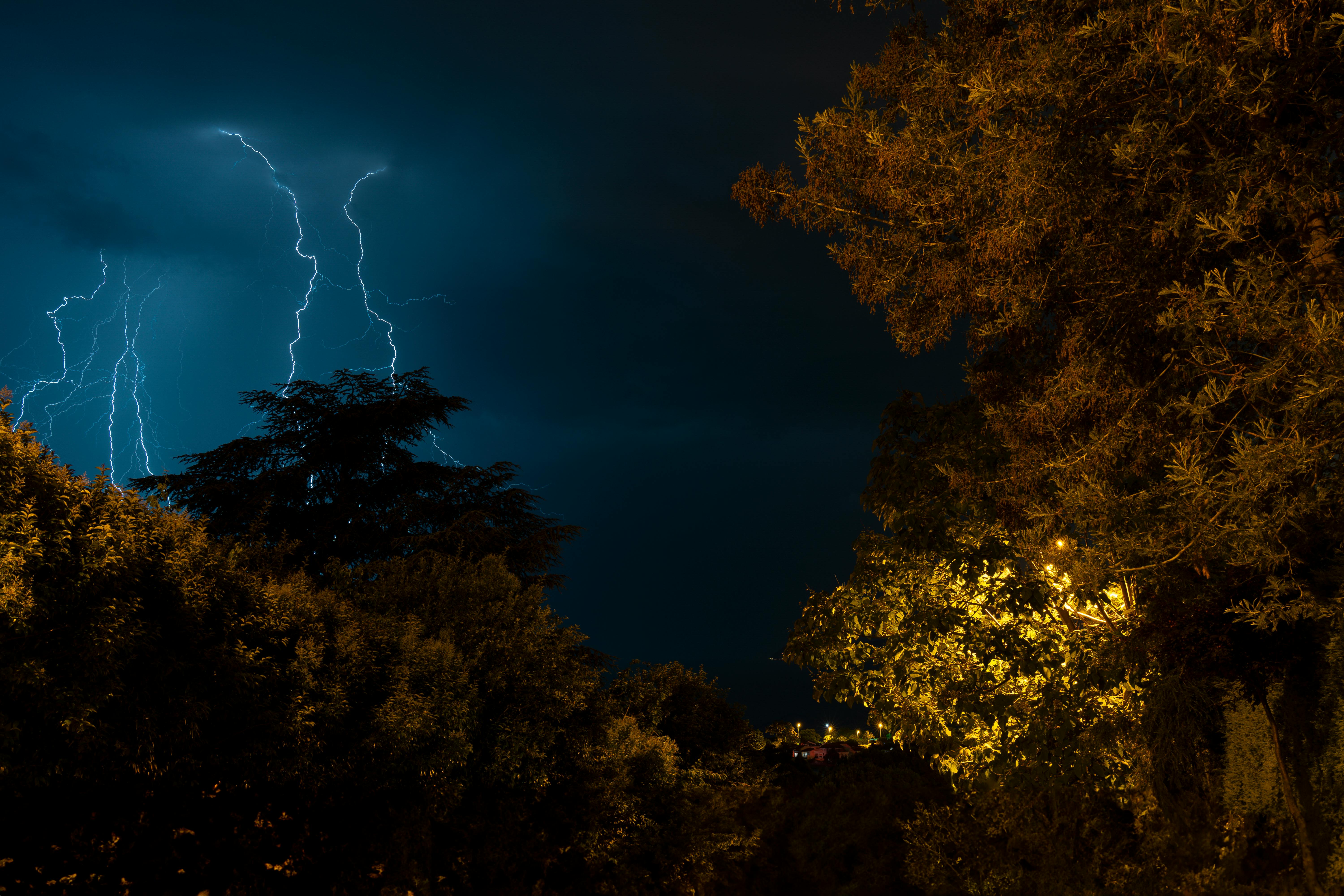 View of Trees and Lightning Strikes · Free Stock Photo