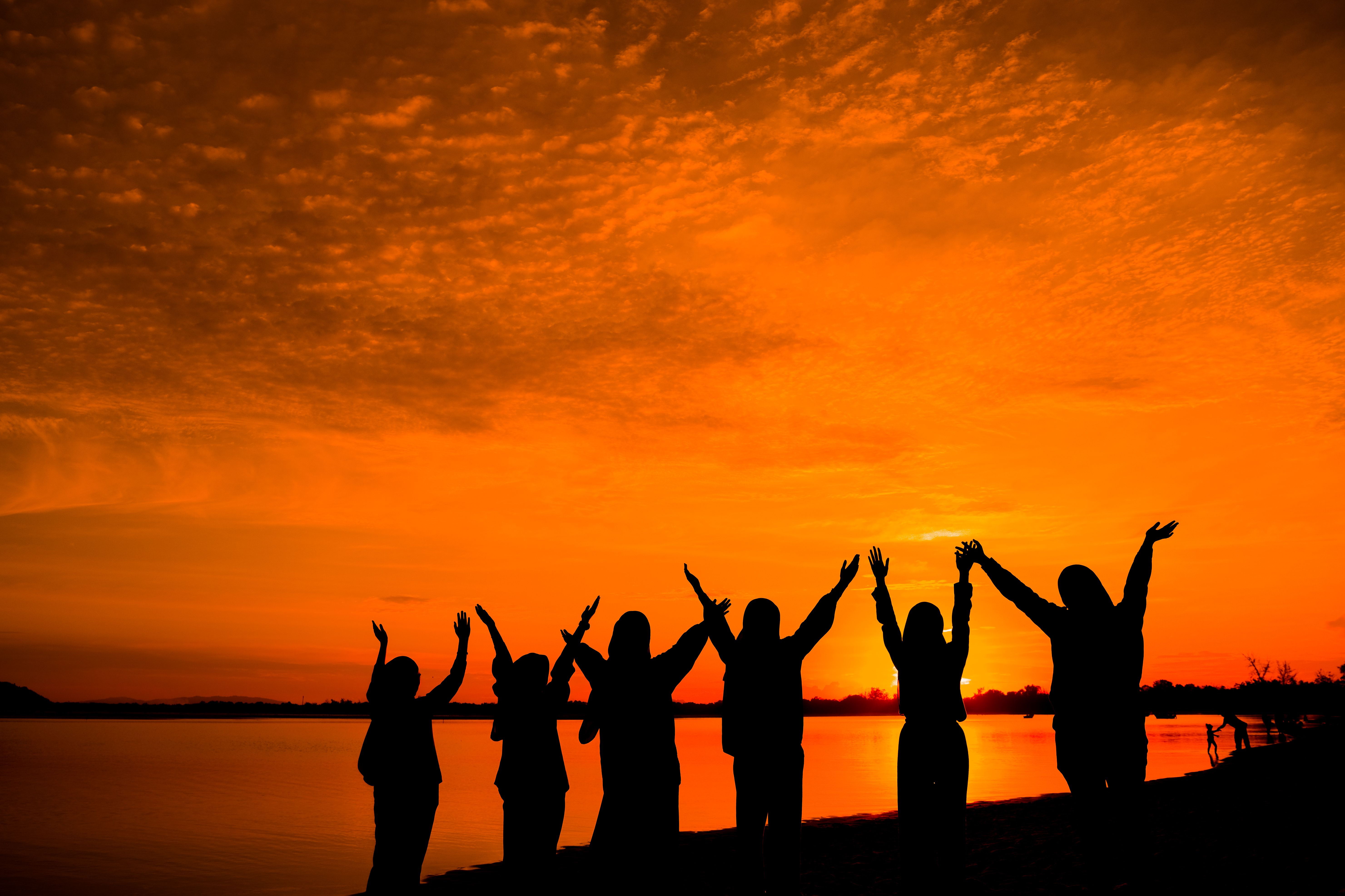 Silhouettes of People Raising Arms at Golden Hour · Free Stock Photo