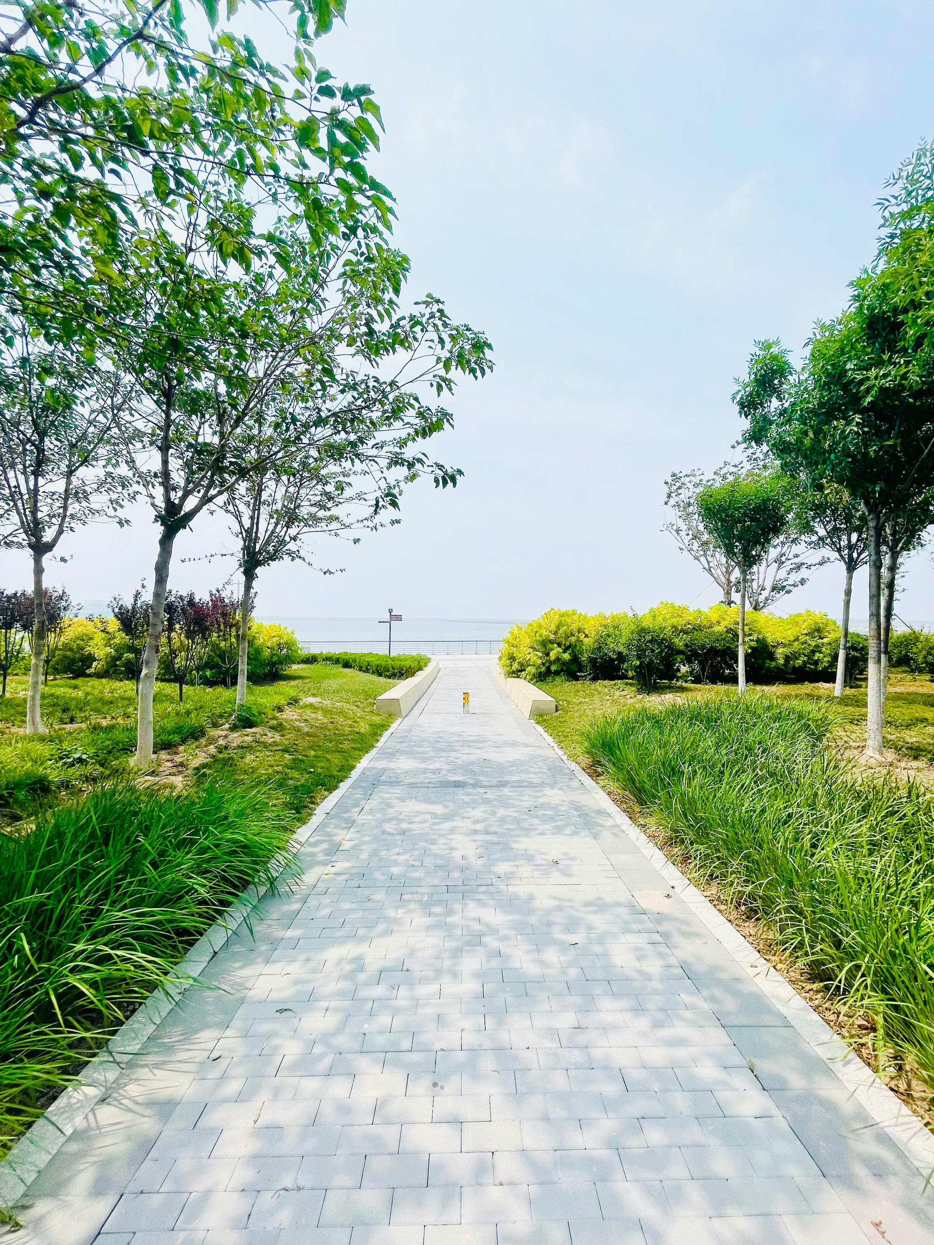 Paved Footpath Leading through Park to the Waterfront · Free Stock Photo