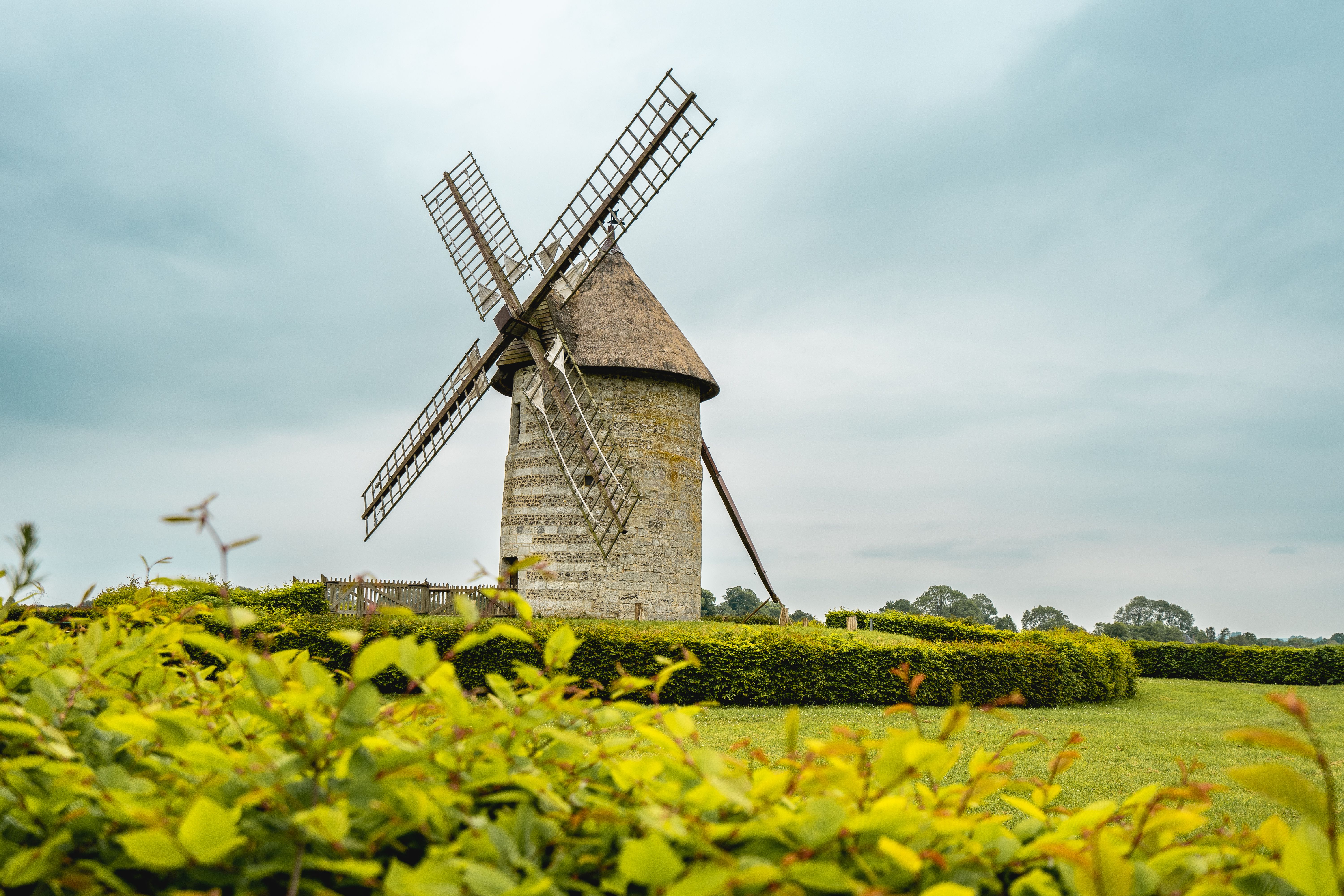Brown and Gray Windmill Beside Green Tree Under Blue Cloudy Sky during ...