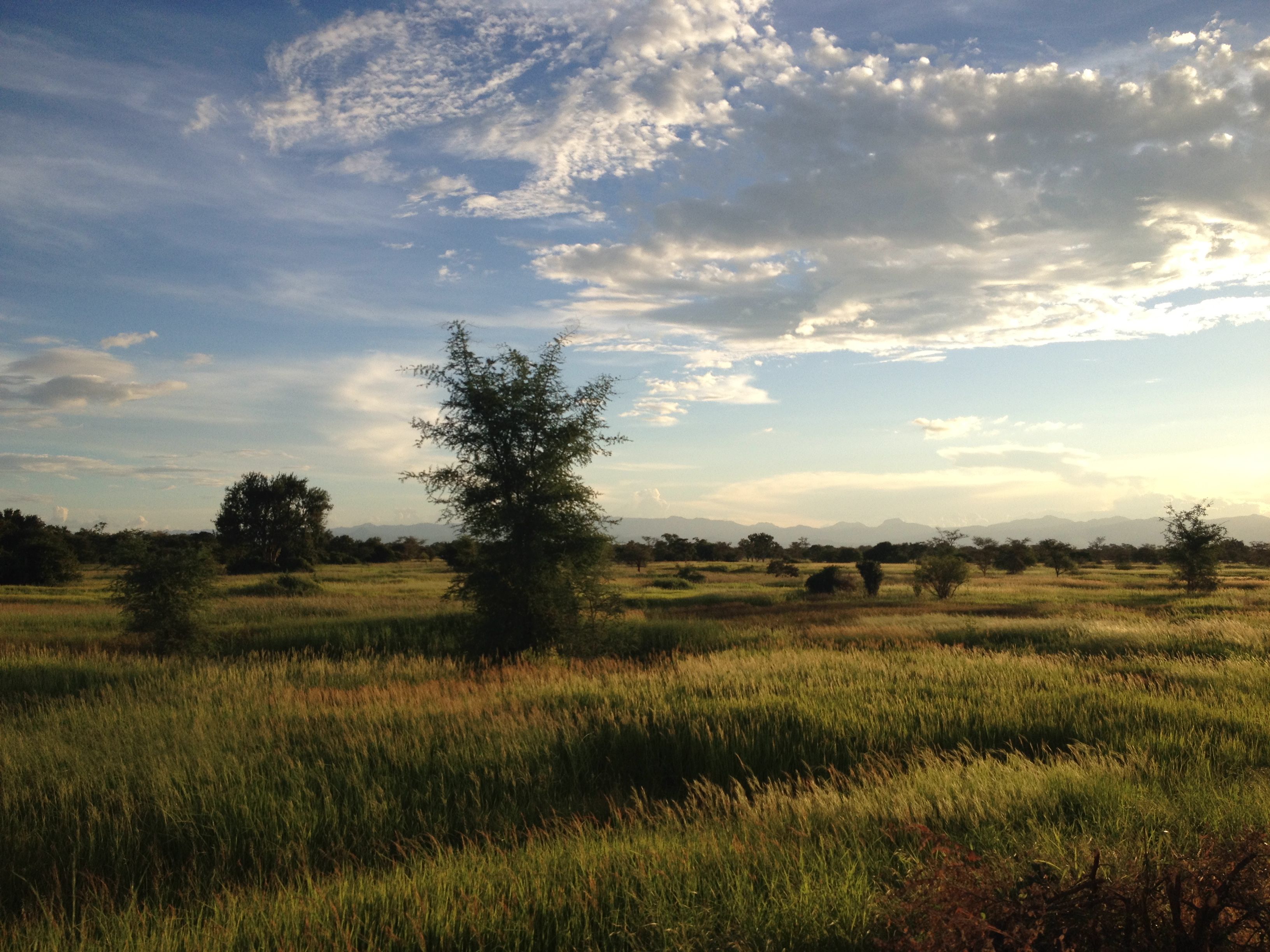 Green Field in Countryside on Sunset · Free Stock Photo