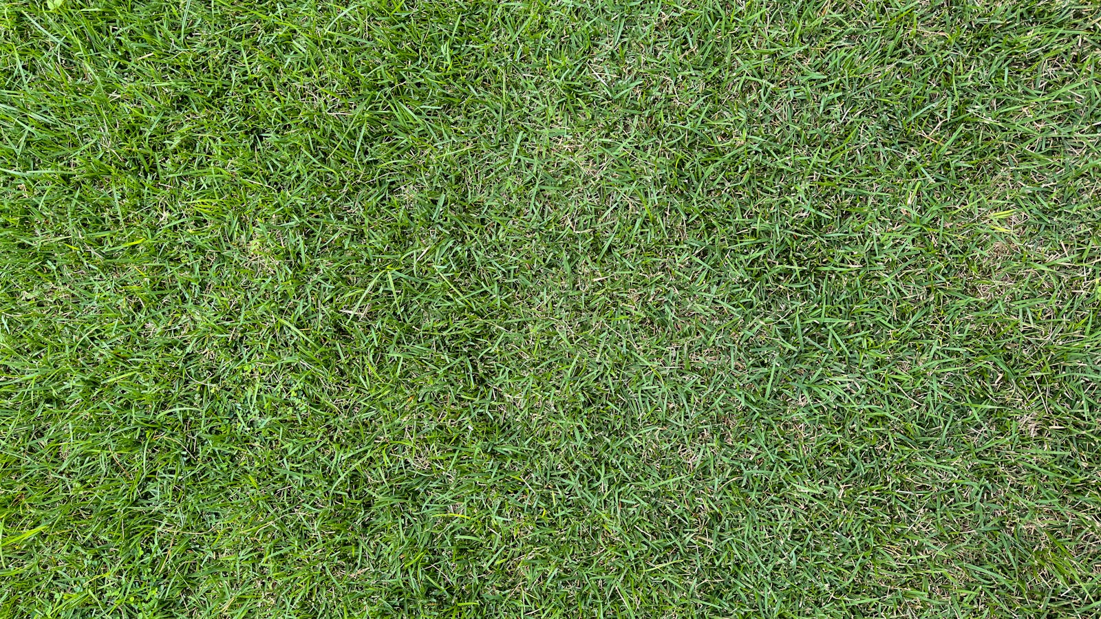 Golf Texture Photos, Download The BEST Free Golf Texture Stock Photos ...