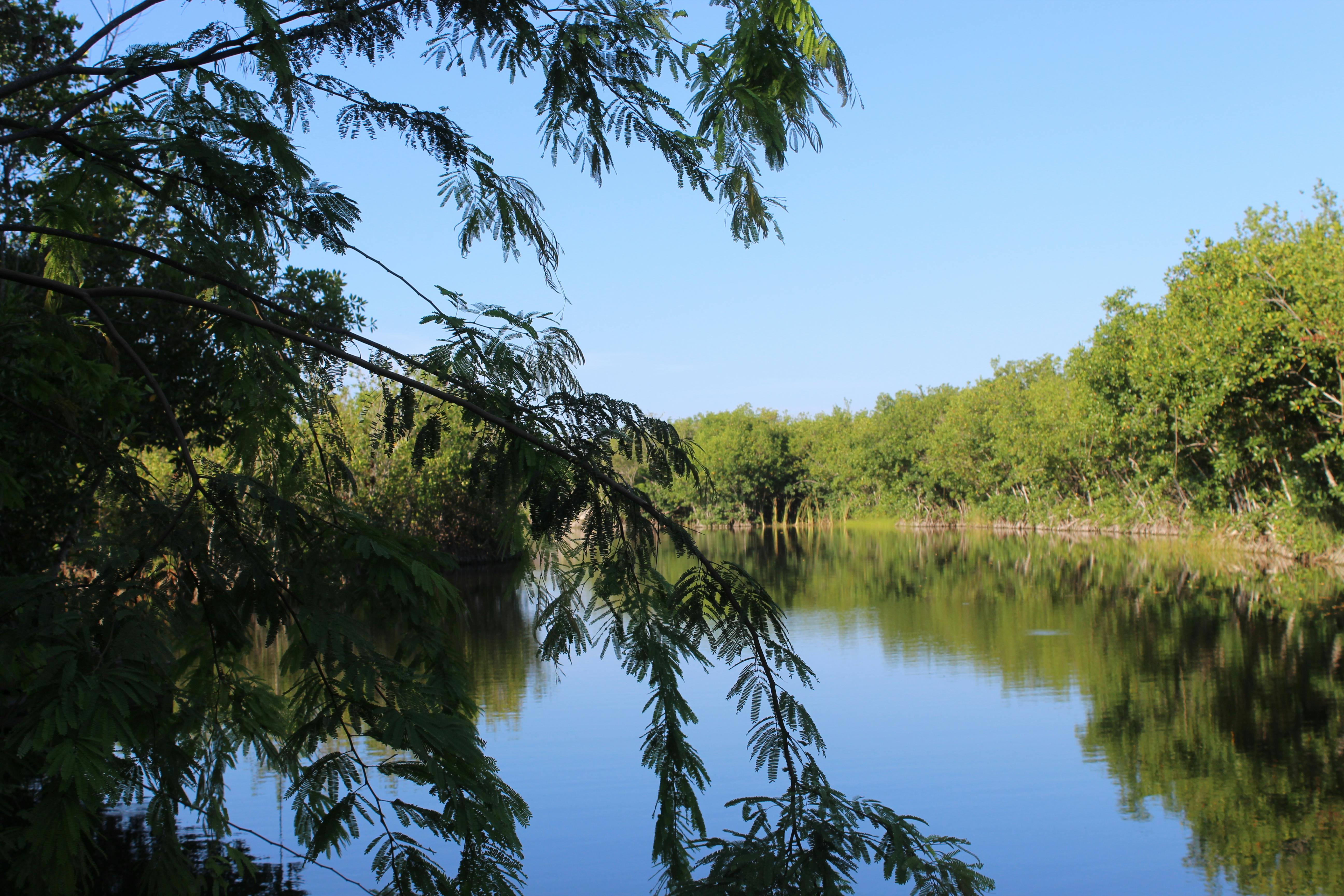 Mexico 8 Photos & Videos Collected by Zachary Tang