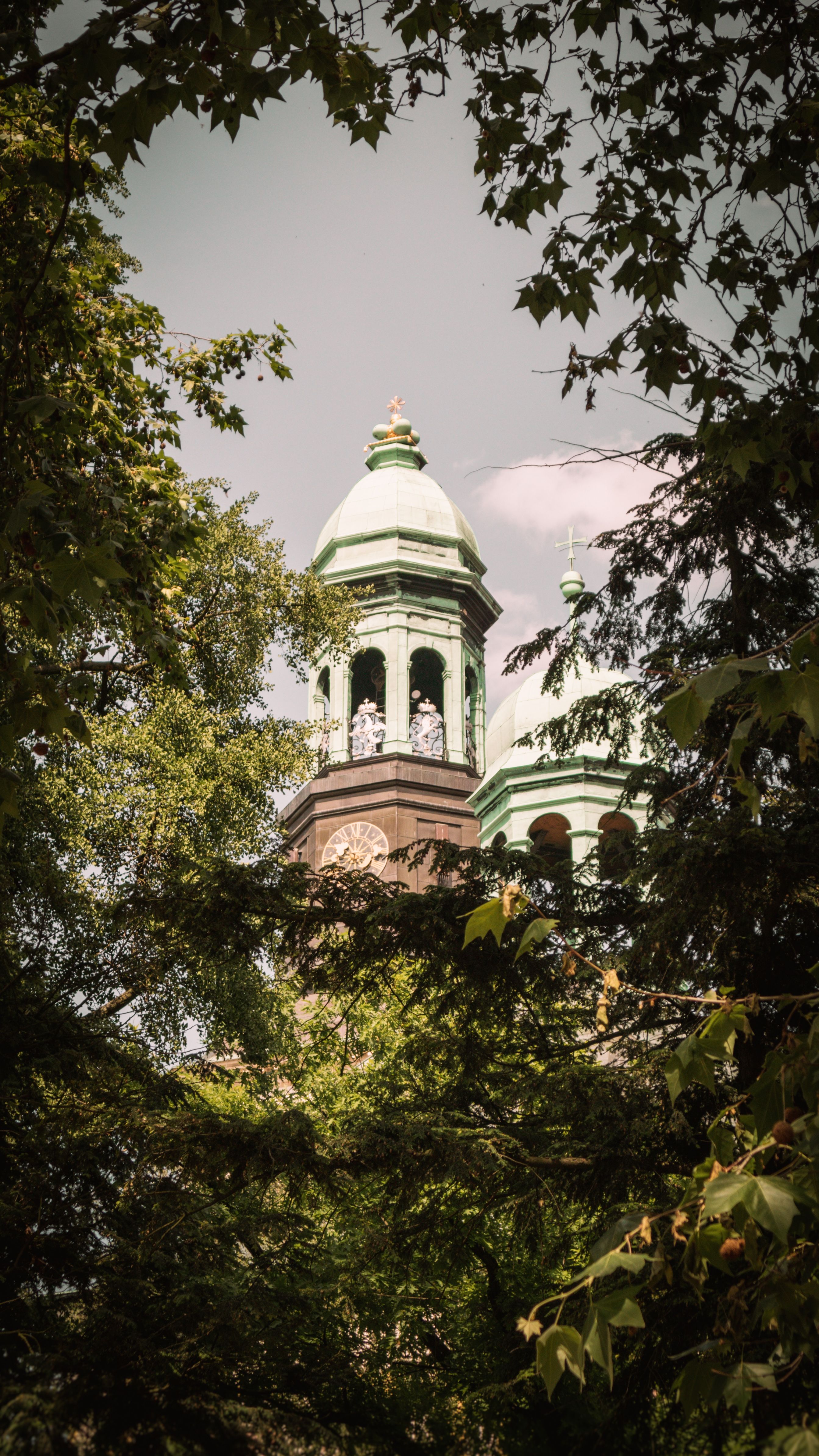 Bell Tower of a Church seen between Tree Branches · Free Stock Photo