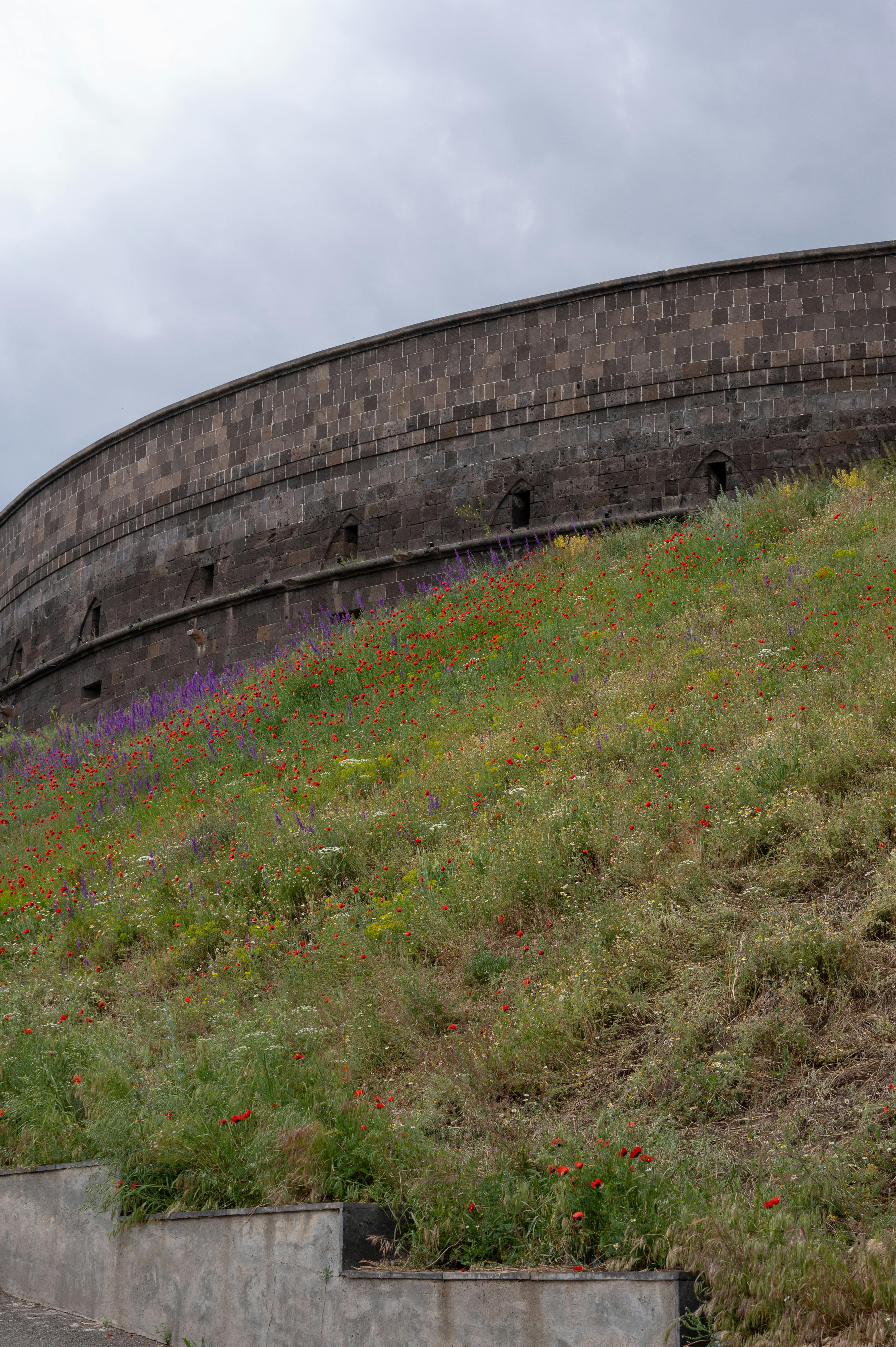 Green Screen Castle Photos, Download The BEST Free Green Screen Castle ...