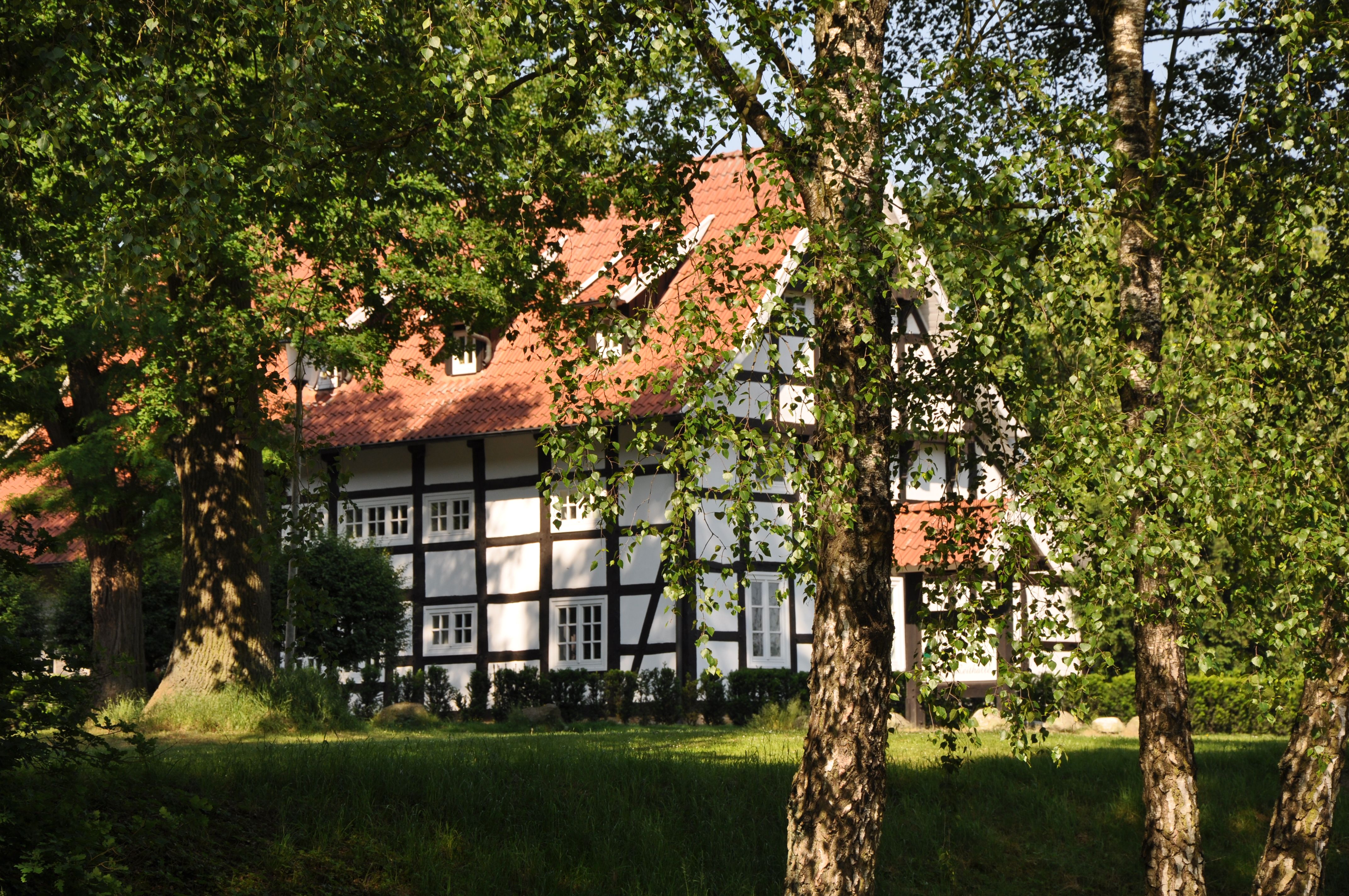A Traditional German Half Timbered House behind the Trees · Free Stock ...