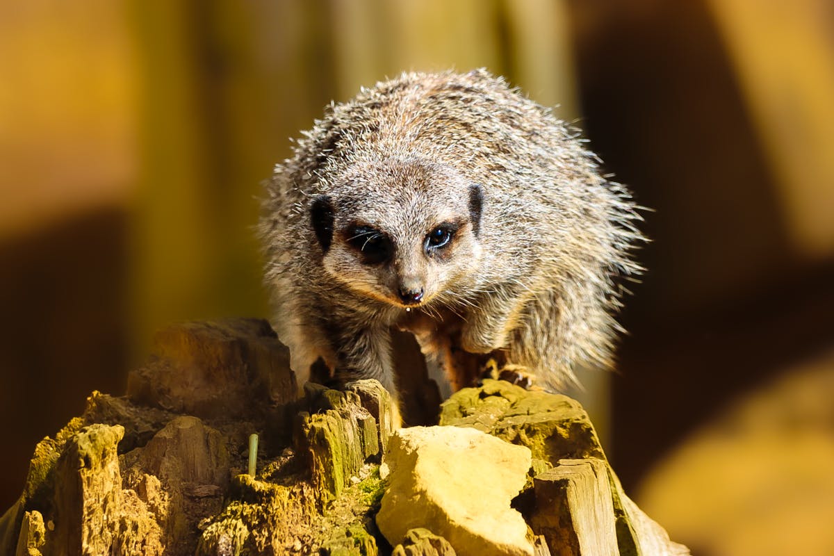 60.000+ Foto Solidworks Wallpaper Terbaik · Unduh Gratis 100% · Foto ...