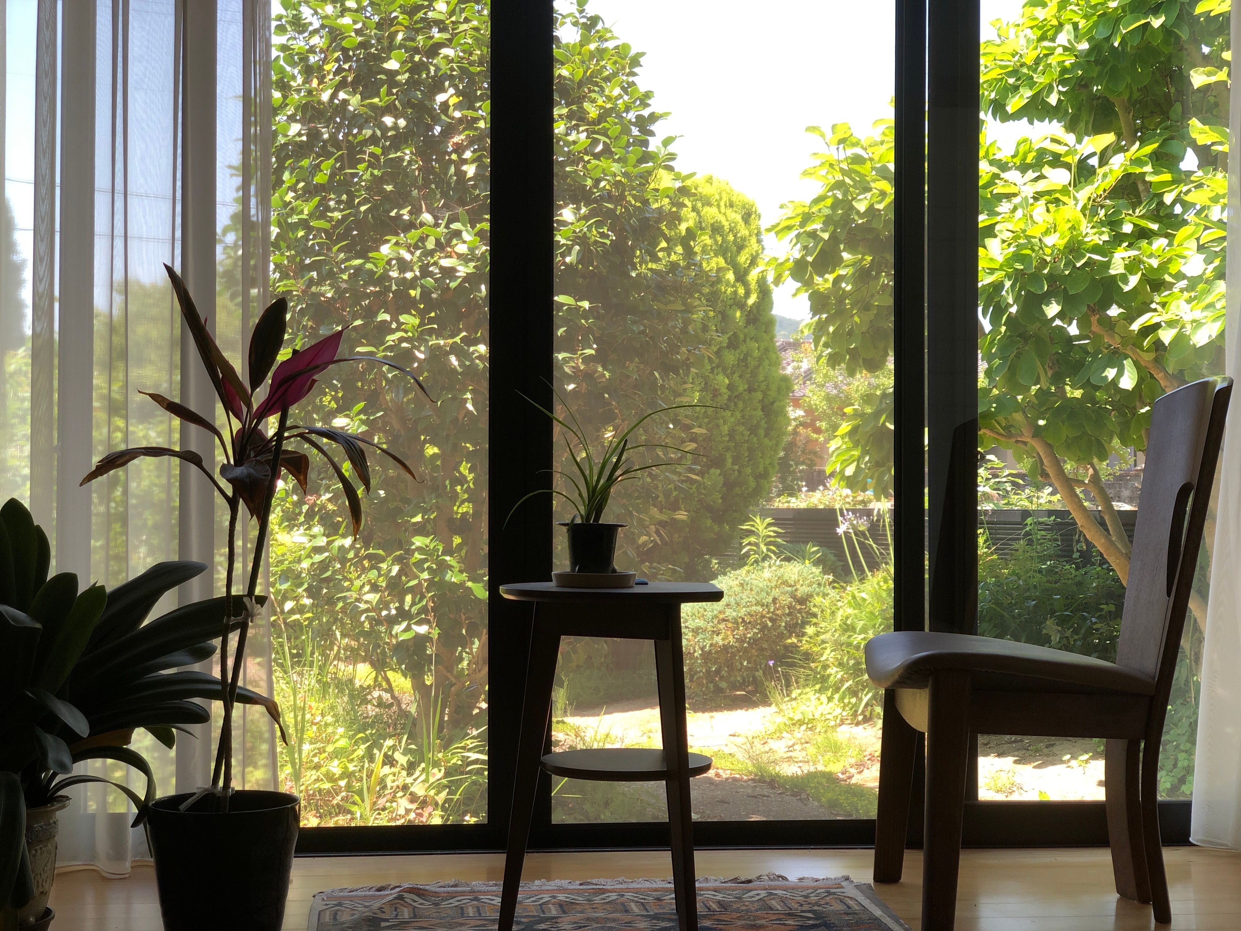 Trees behind Windows in Room · Free Stock Photo