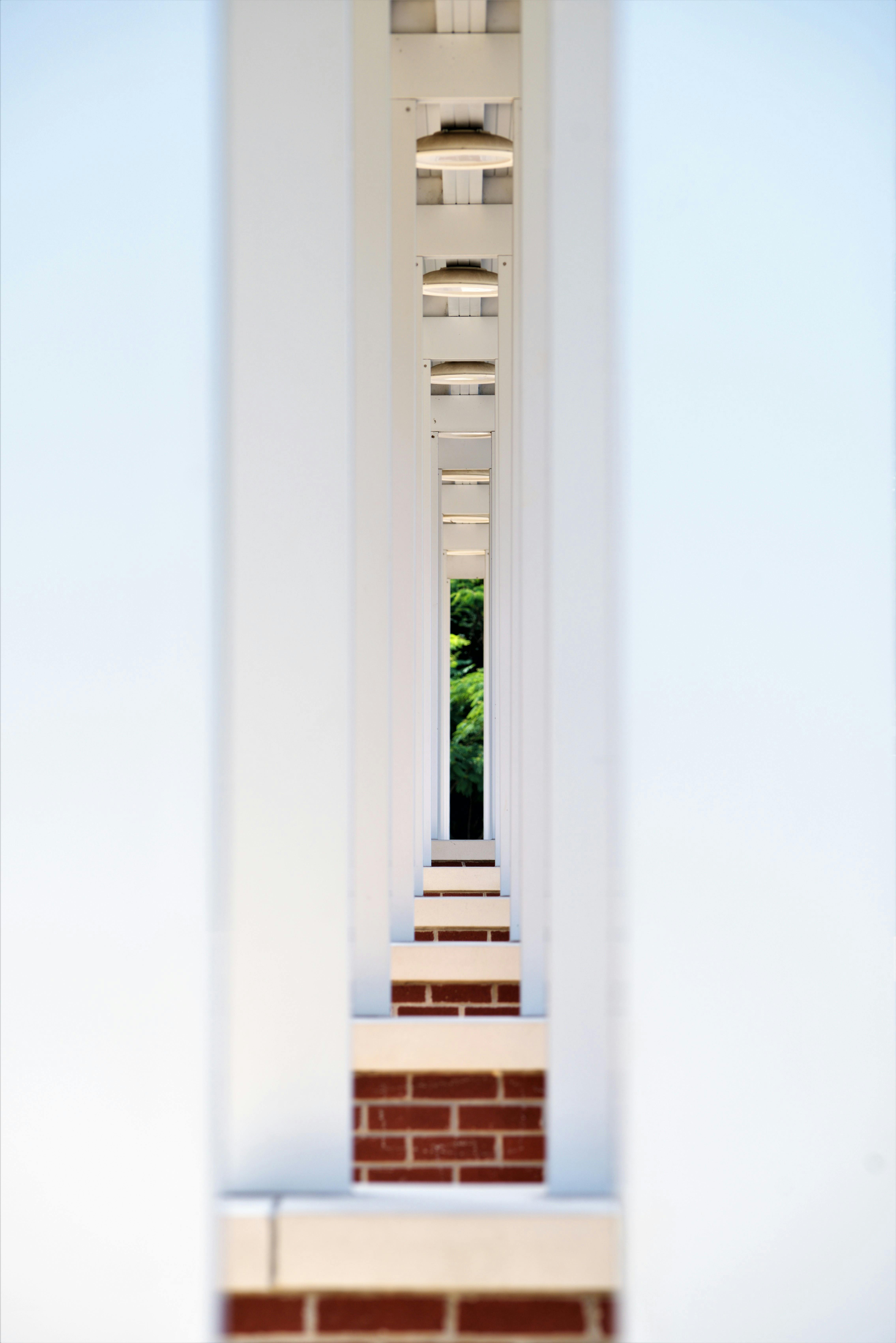 Diminishing Perspective · Free Stock Photo