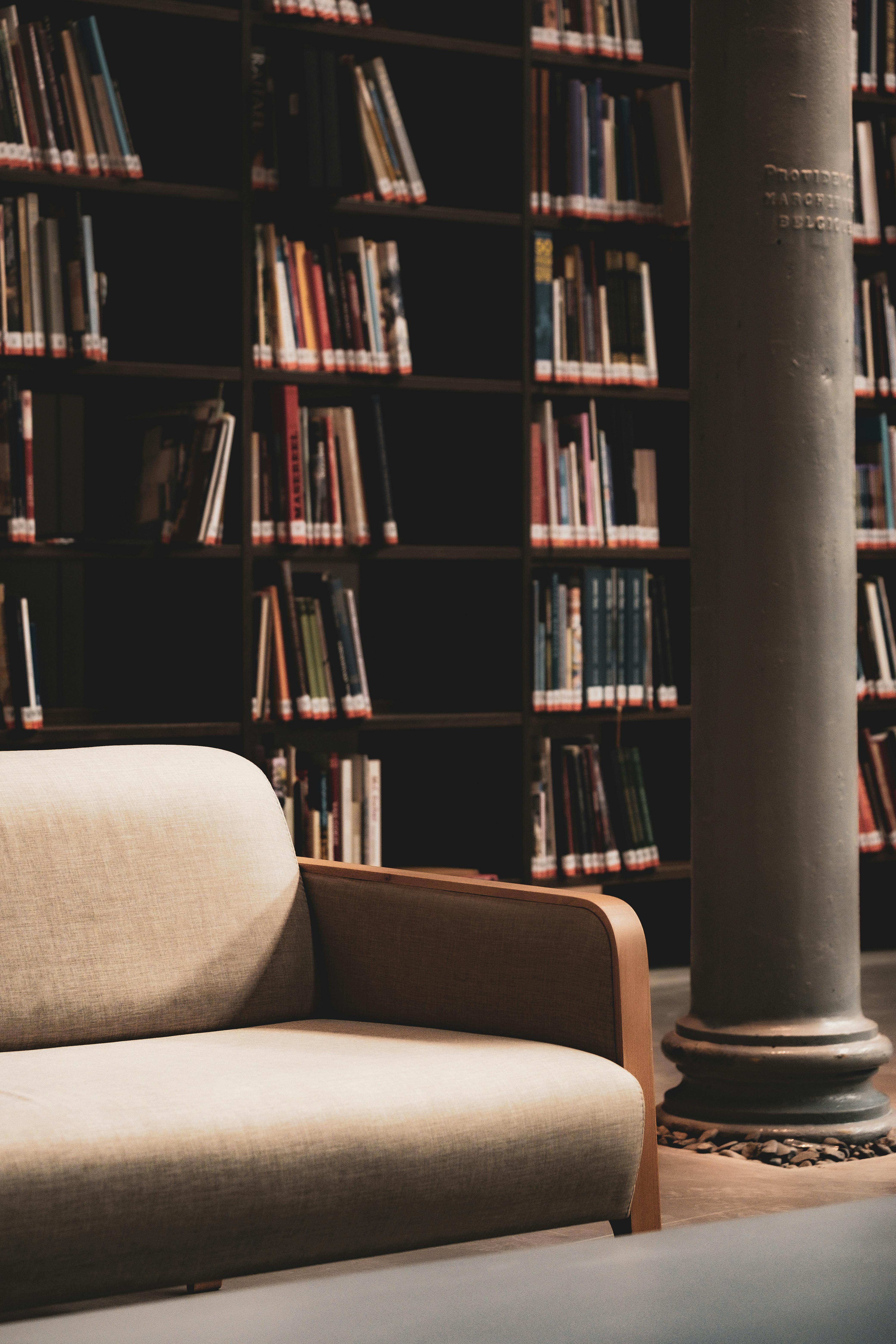 Sofa and Shelves with Books in Library · Free Stock Photo