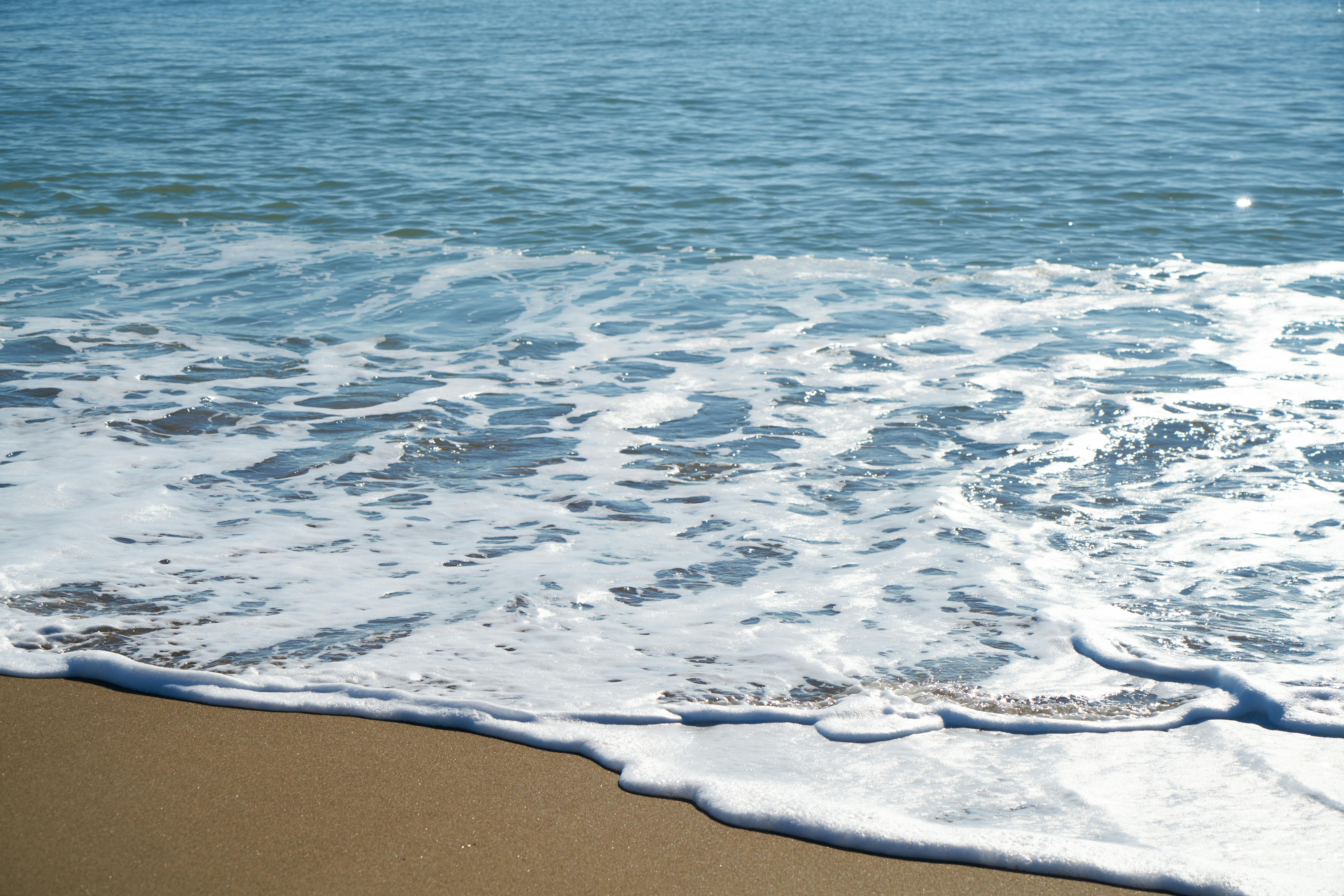 Close-up Photo of Seashore · Free Stock Photo