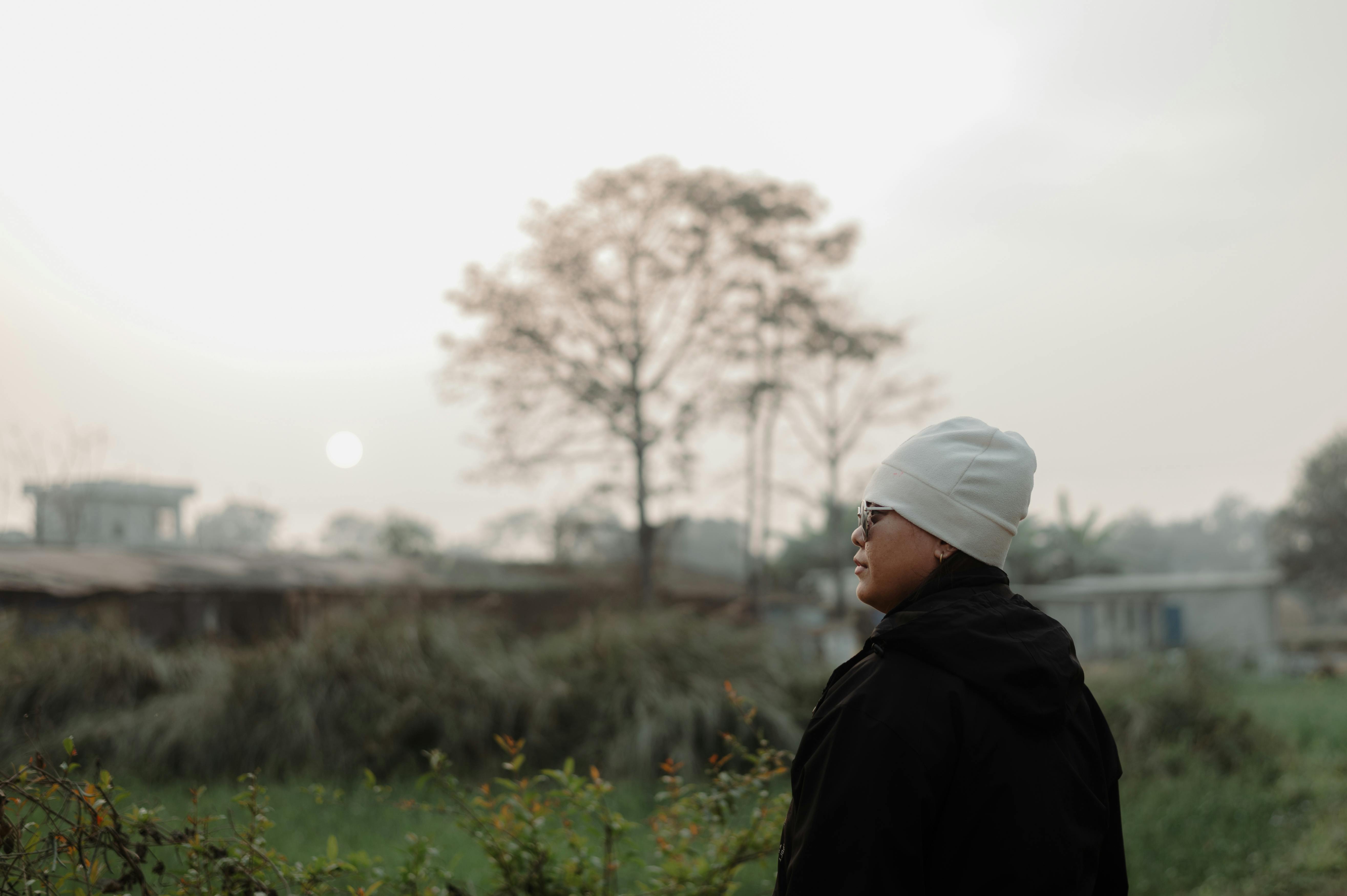 Greenery Background Fog Portrait Photos, Download The BEST Free ...