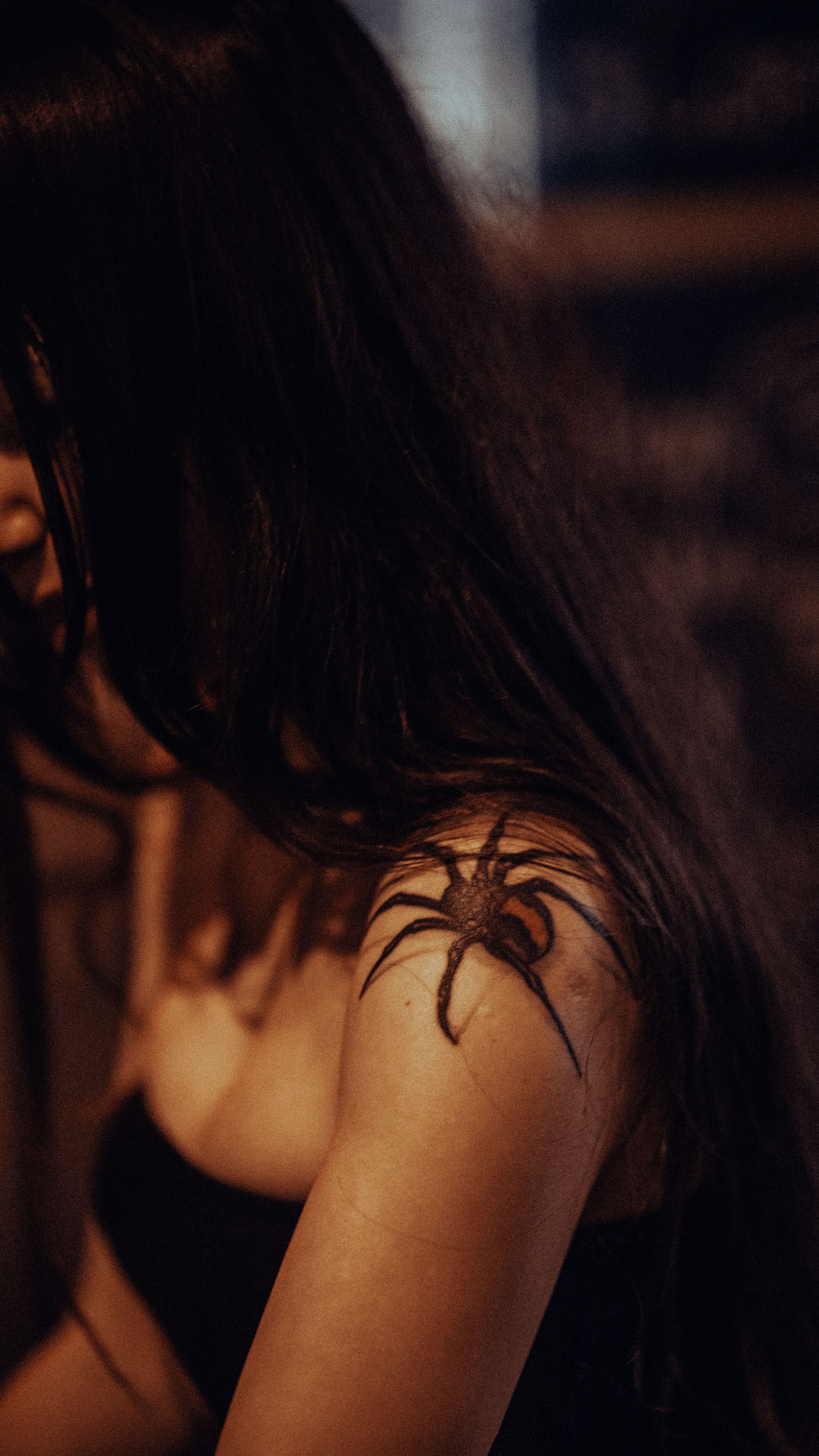 Spider Neavi Photos, Download The BEST Free Spider Neavi Stock Photos ...