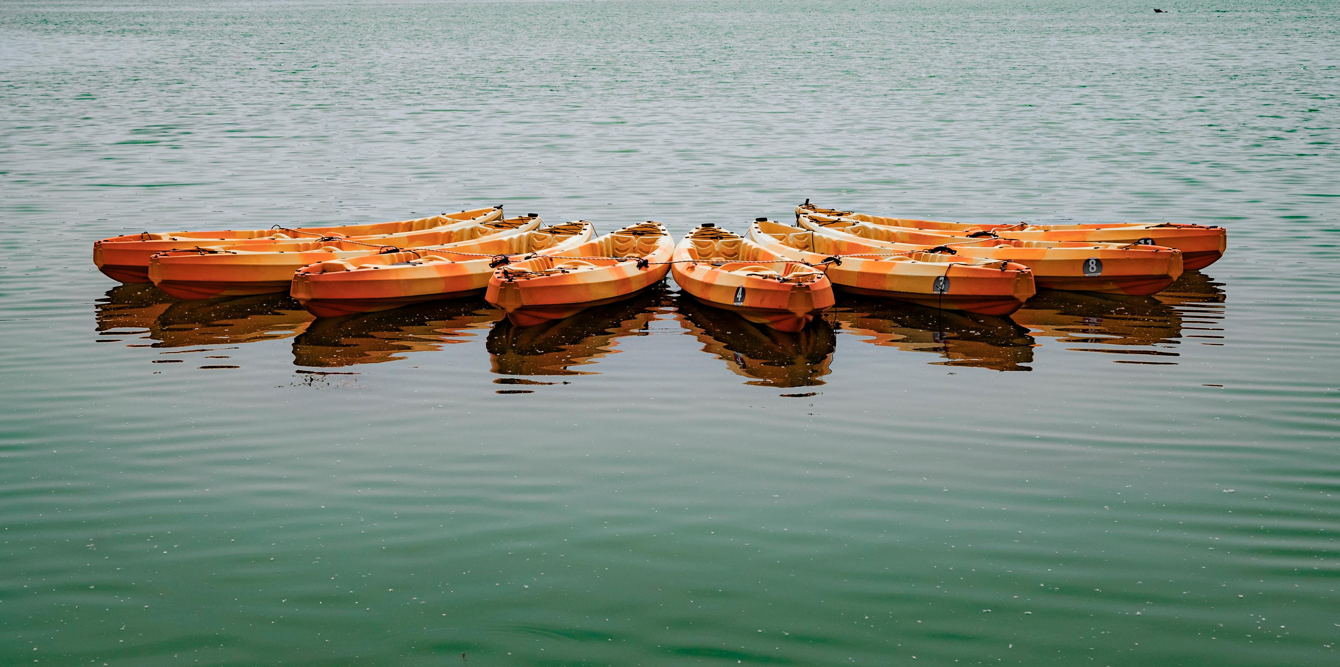 Canoes Tied Together · Free Stock Photo