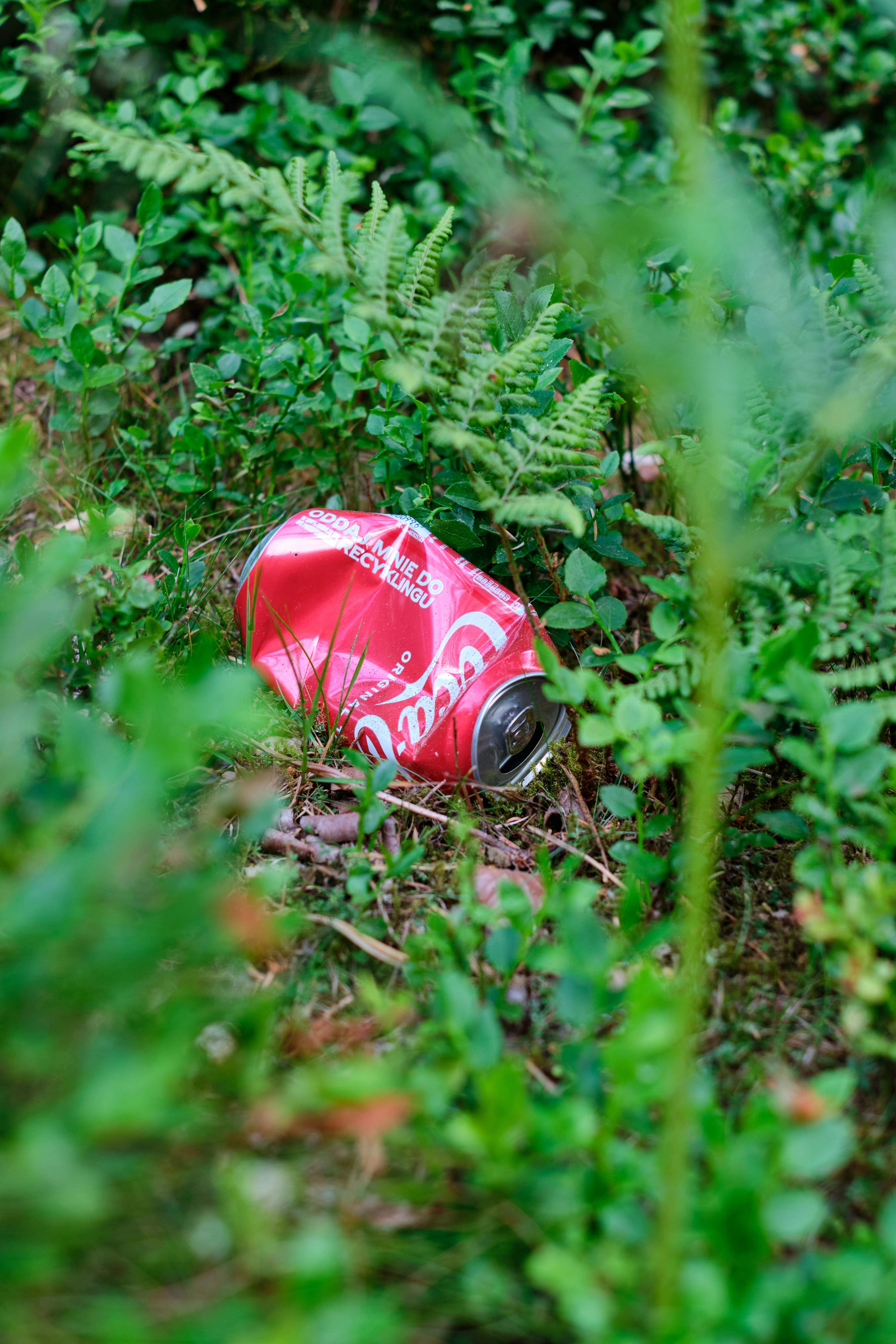 Red Soda Can on the Ground · Free Stock Photo