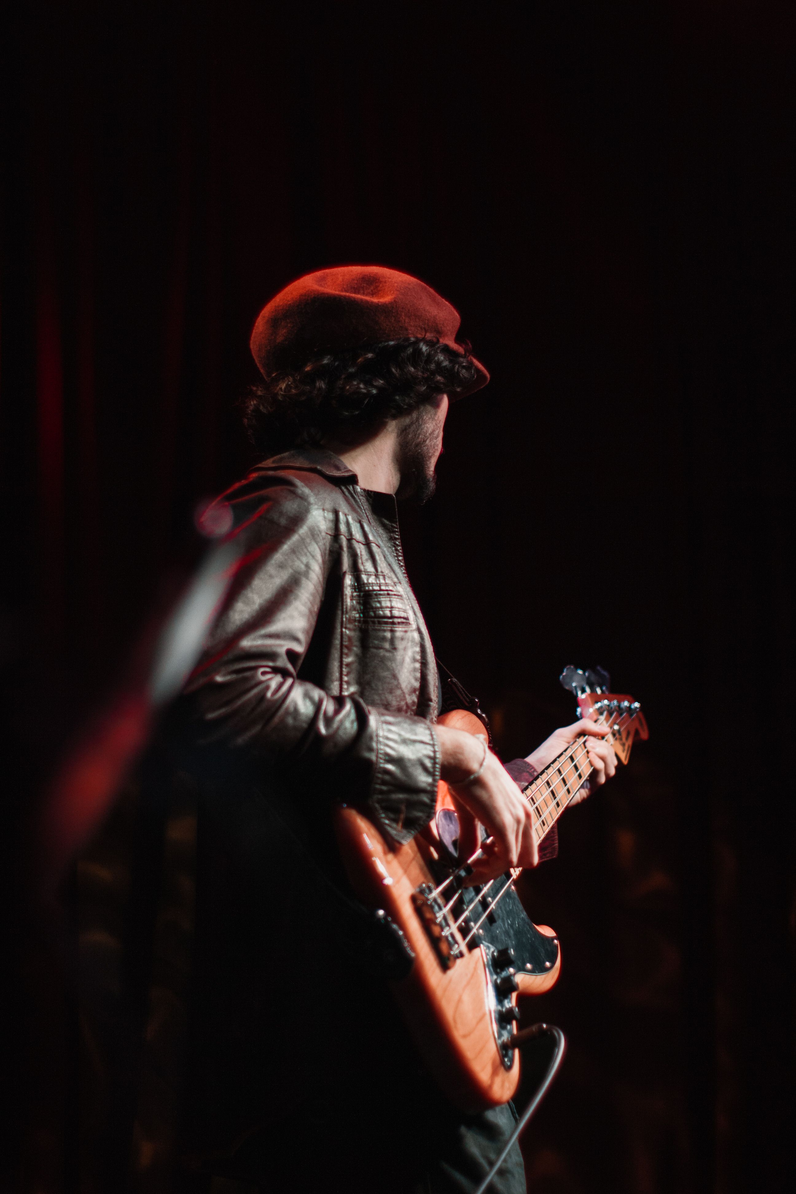 Musician Playing on Concert · Free Stock Photo