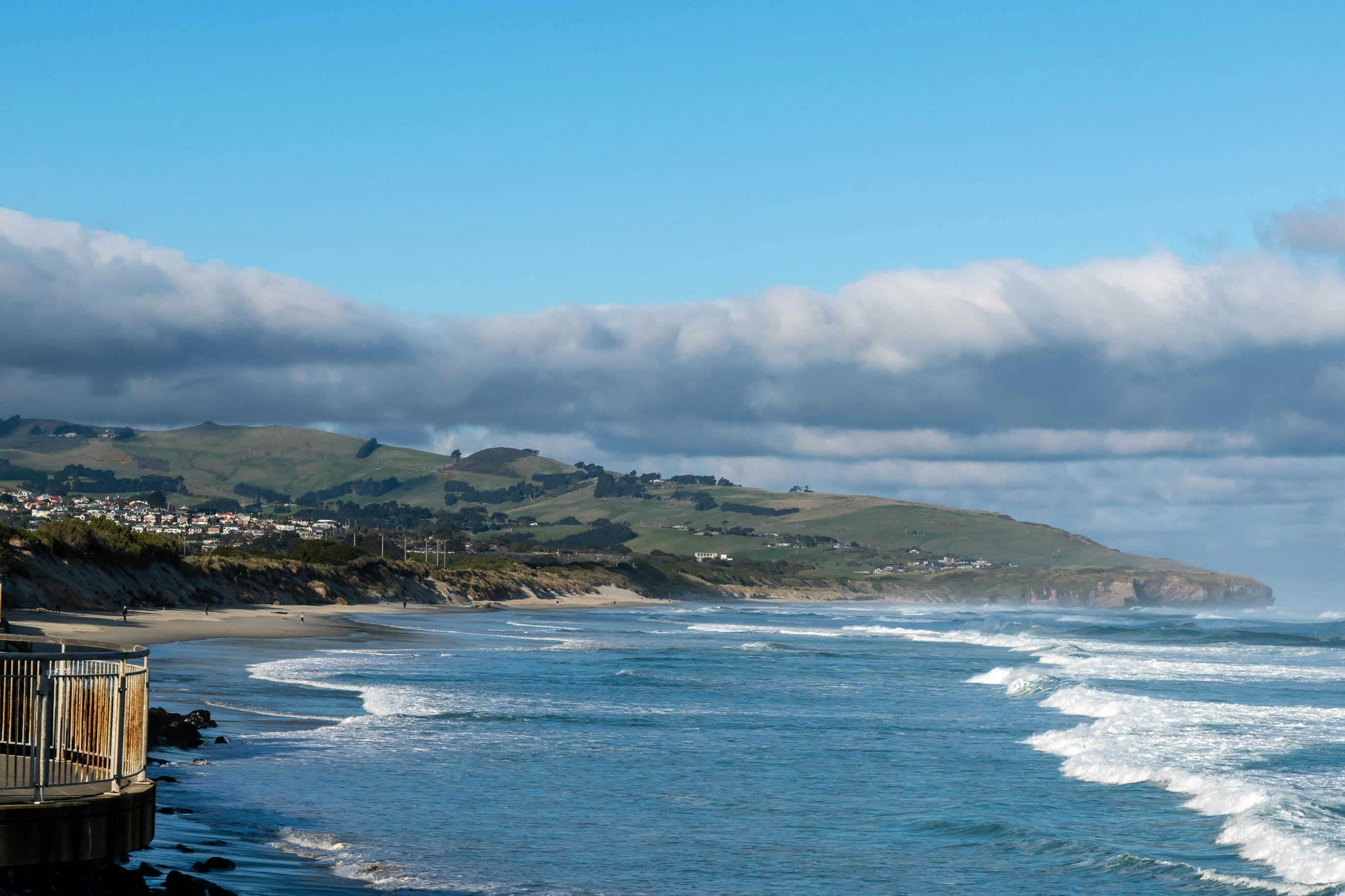 Dunedin Photos, Download The BEST Free Dunedin Stock Photos & HD Images