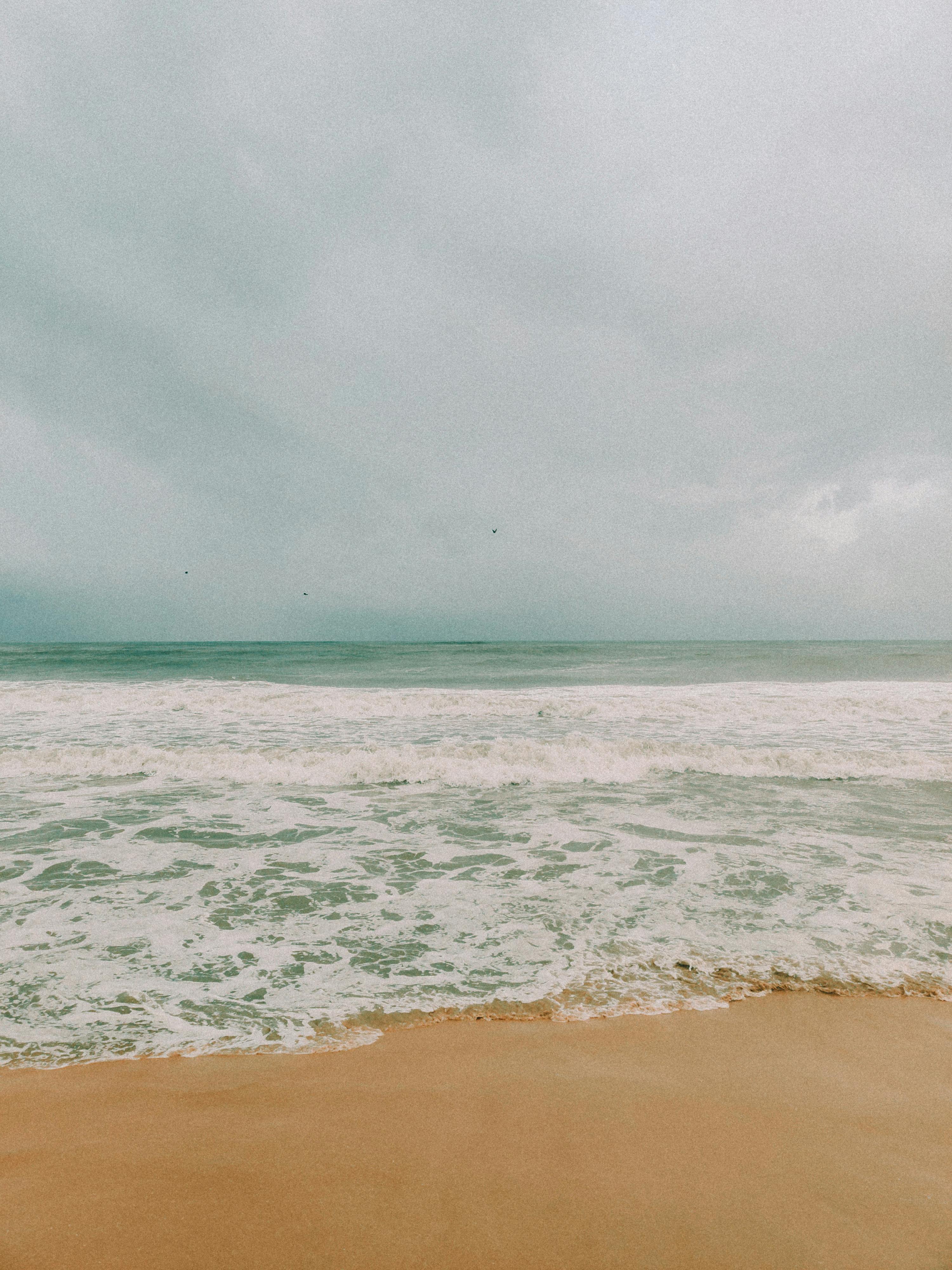 Overcast over Sea Shore · Free Stock Photo