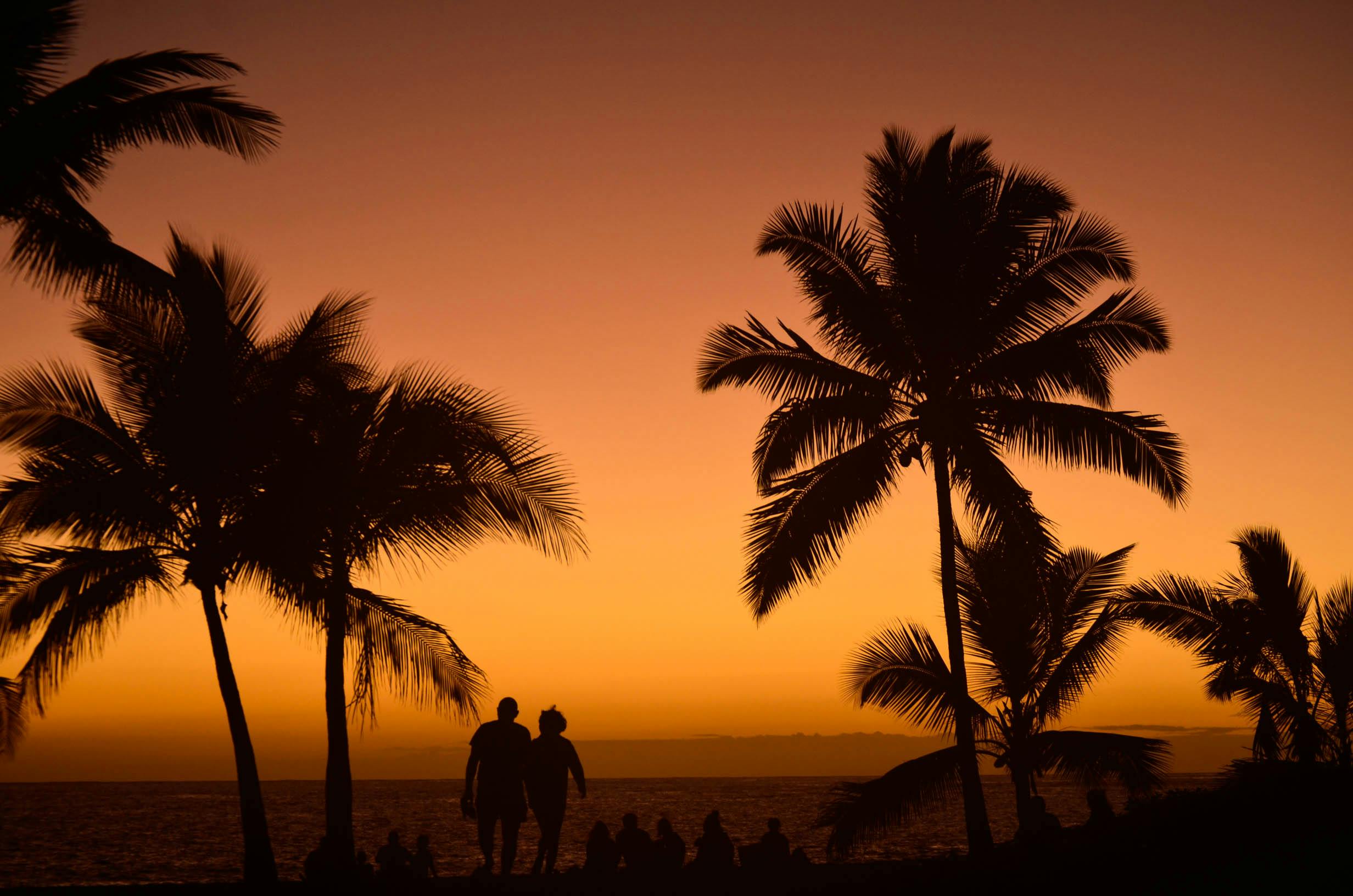 Tropical Nature Photos, Download The BEST Free Tropical Nature Stock ...