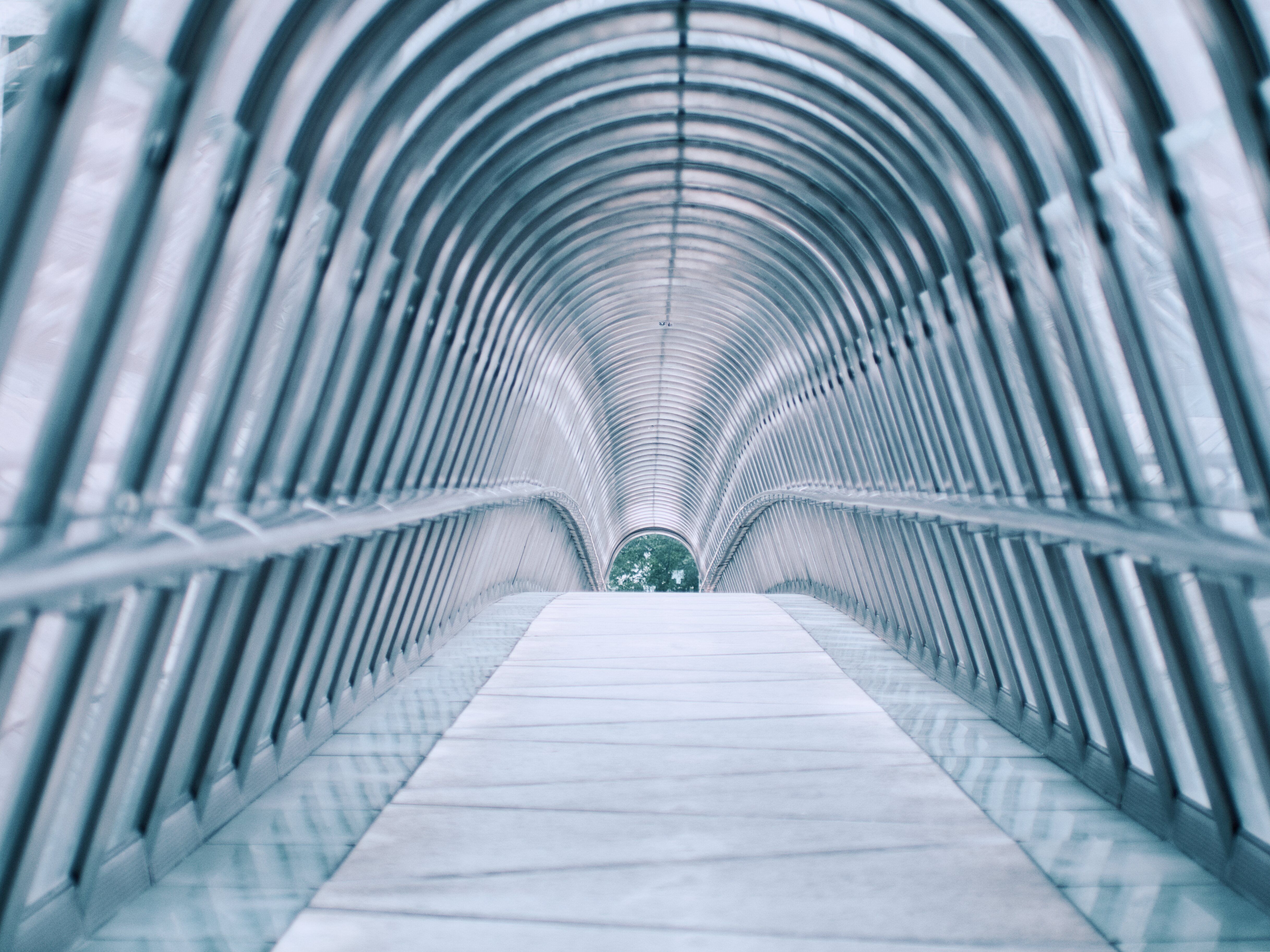 Silver Bullet Photos, Download The BEST Free Silver Bullet Stock Photos ...