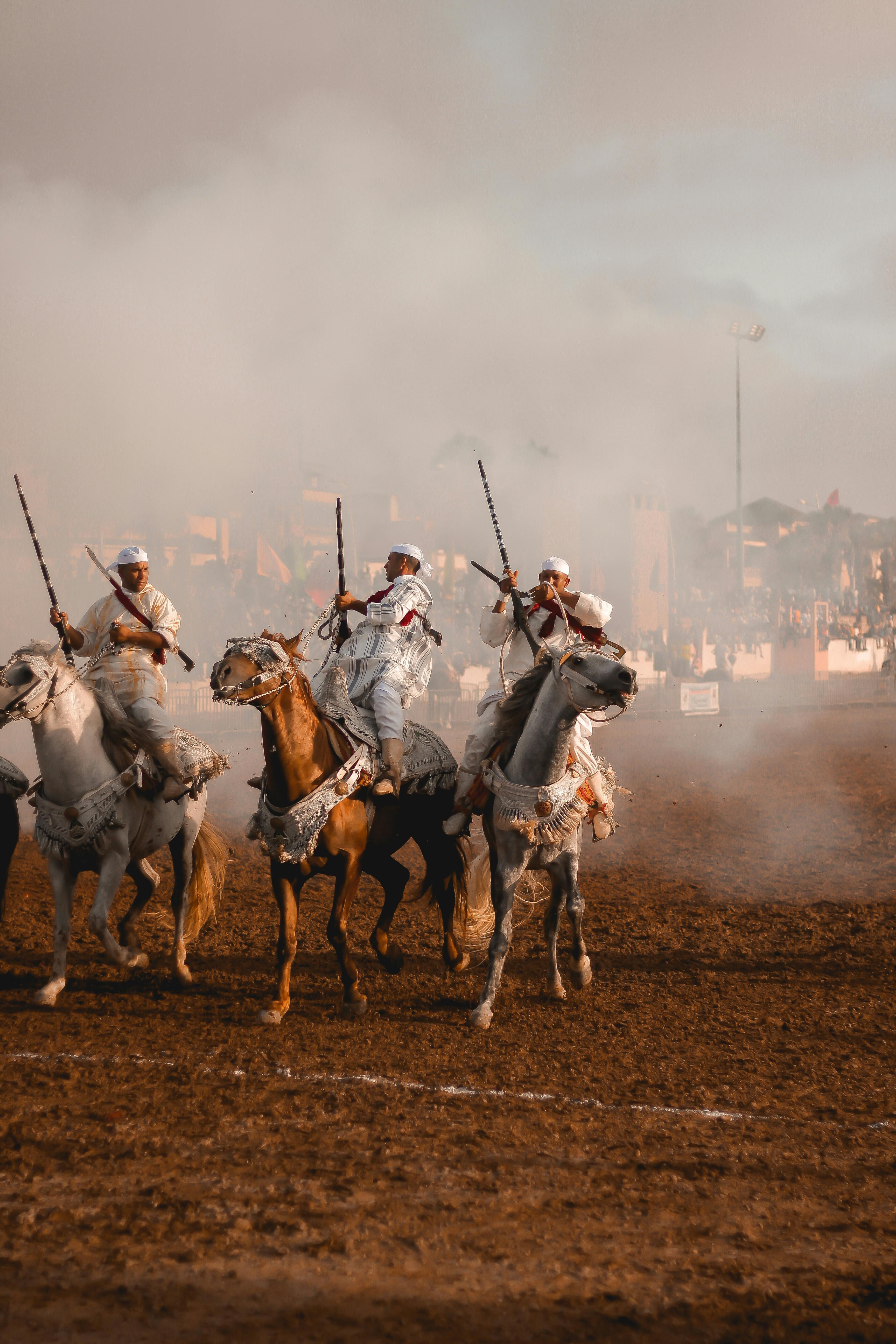 Tbourida Photos, Download The BEST Free Tbourida Stock Photos & HD Images