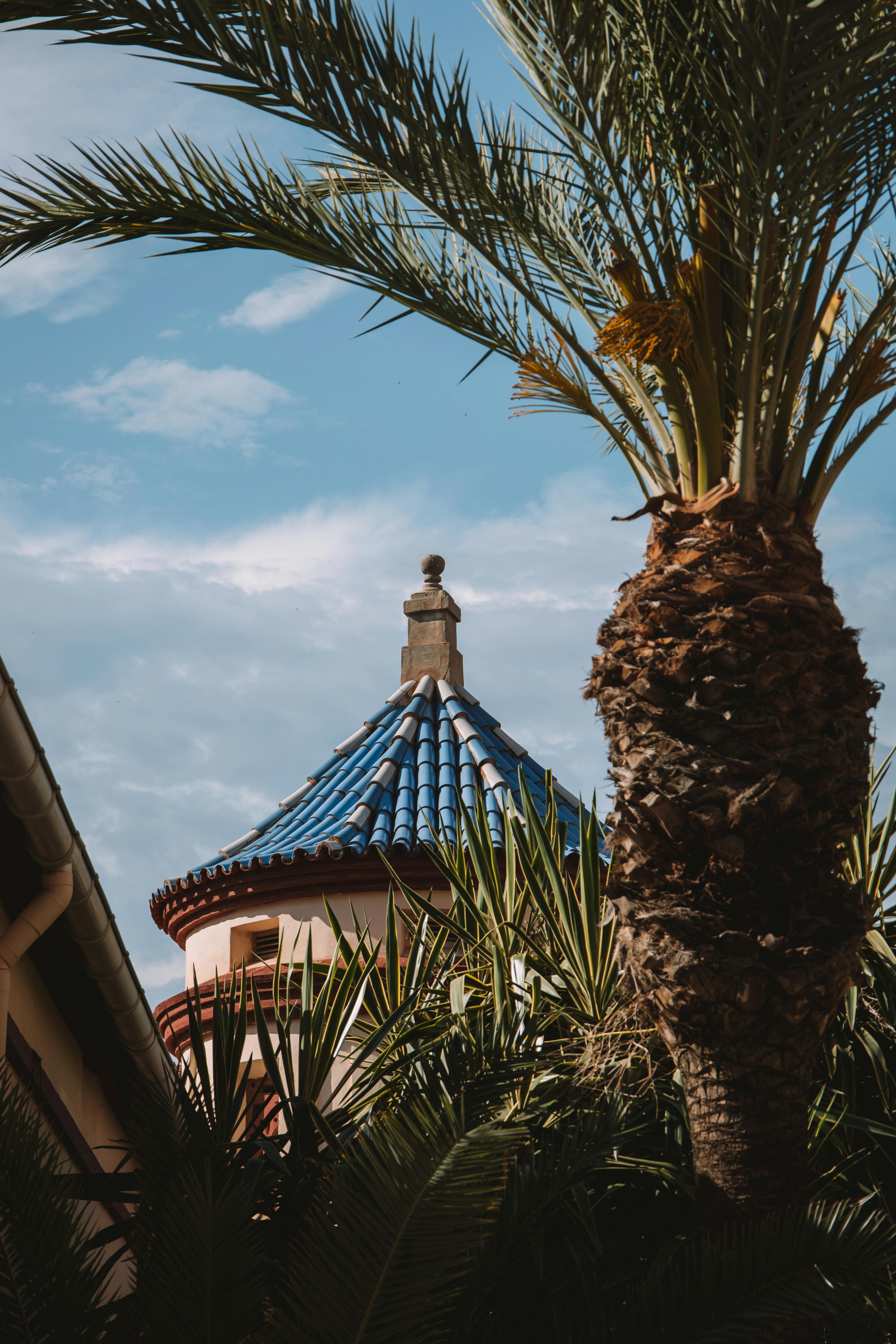 Exotic Tower Photos, Download The BEST Free Exotic Tower Stock Photos ...