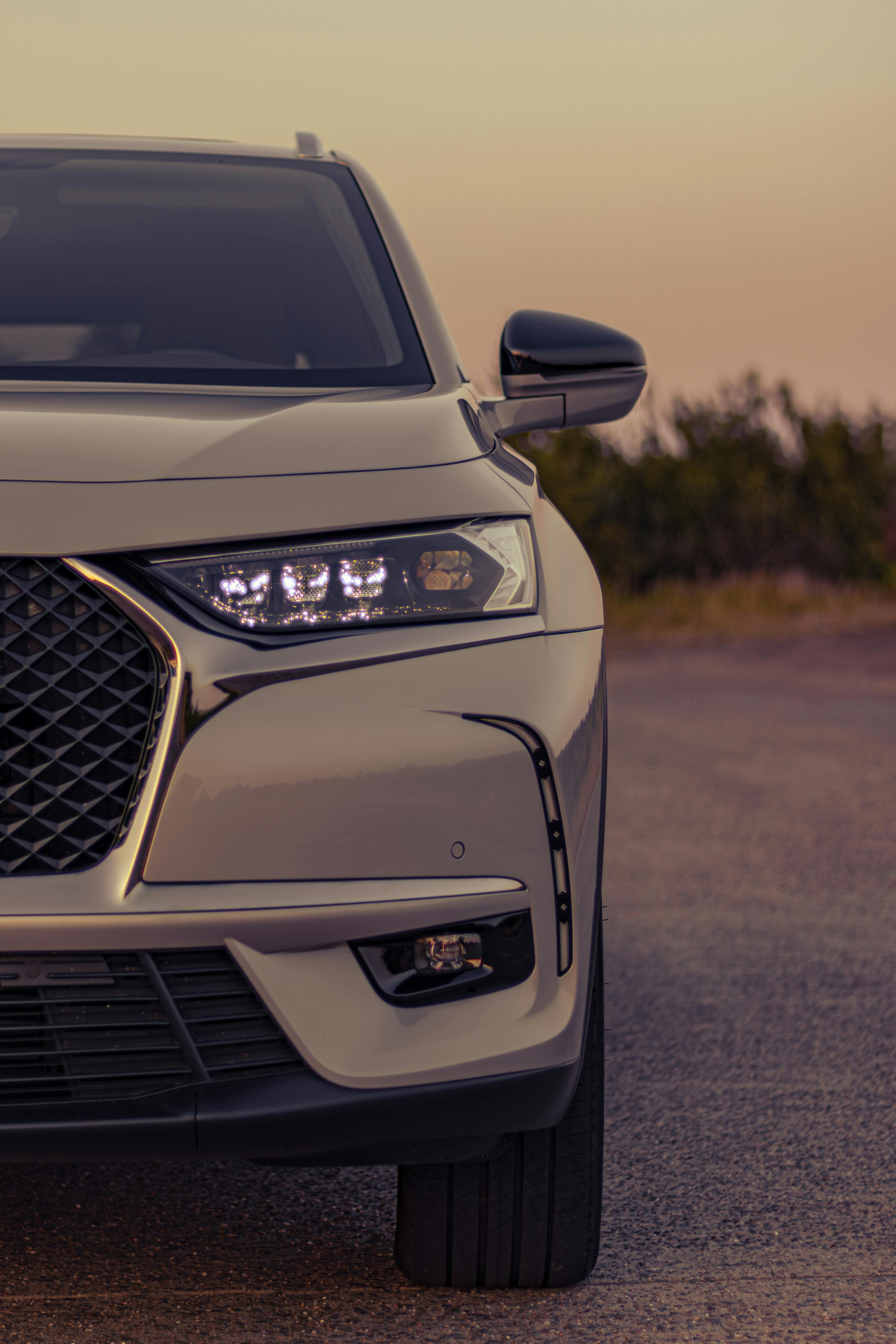 Ds Photos, Download The BEST Free Ds Stock Photos & HD Images