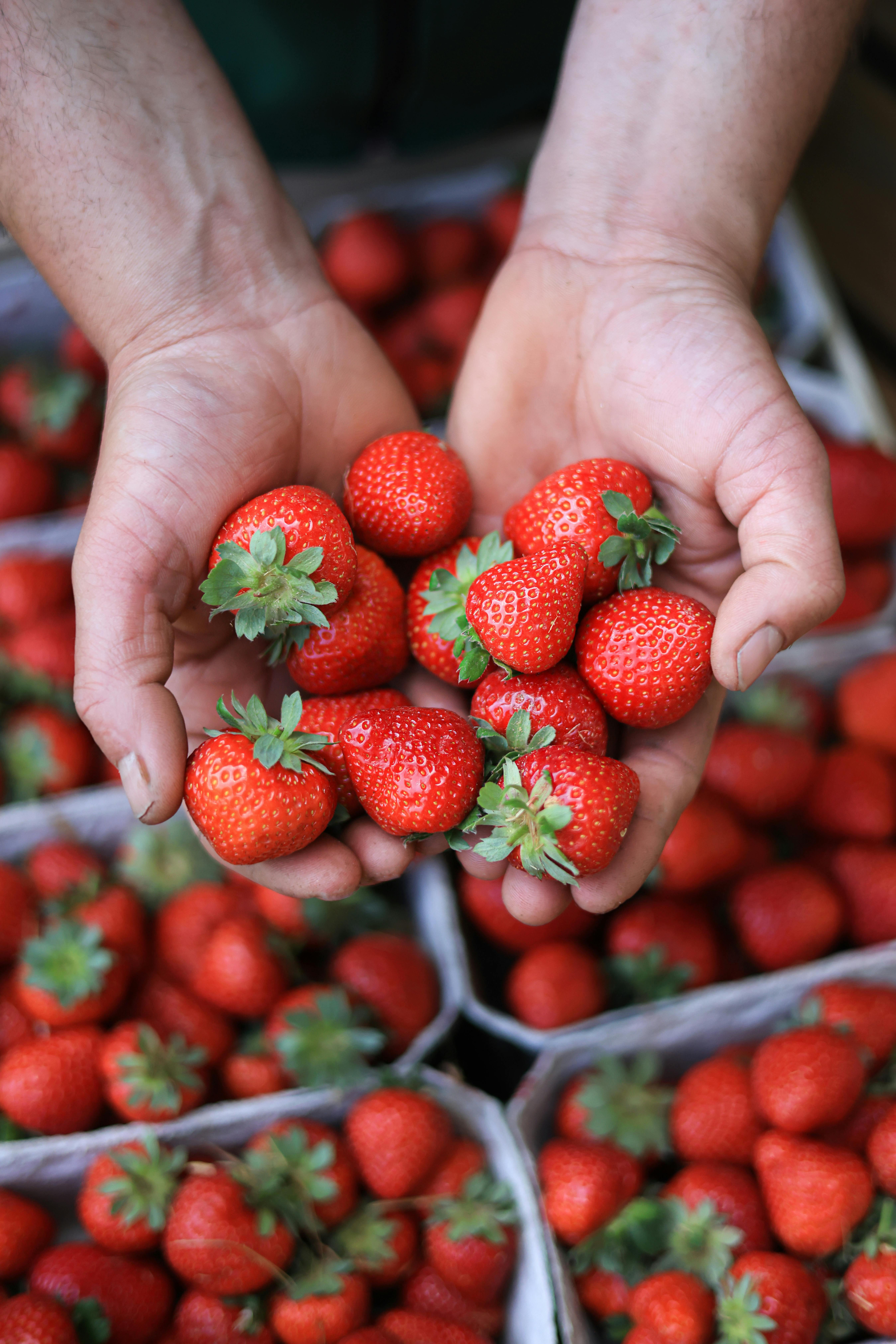 Strawberries · Free Stock Photo