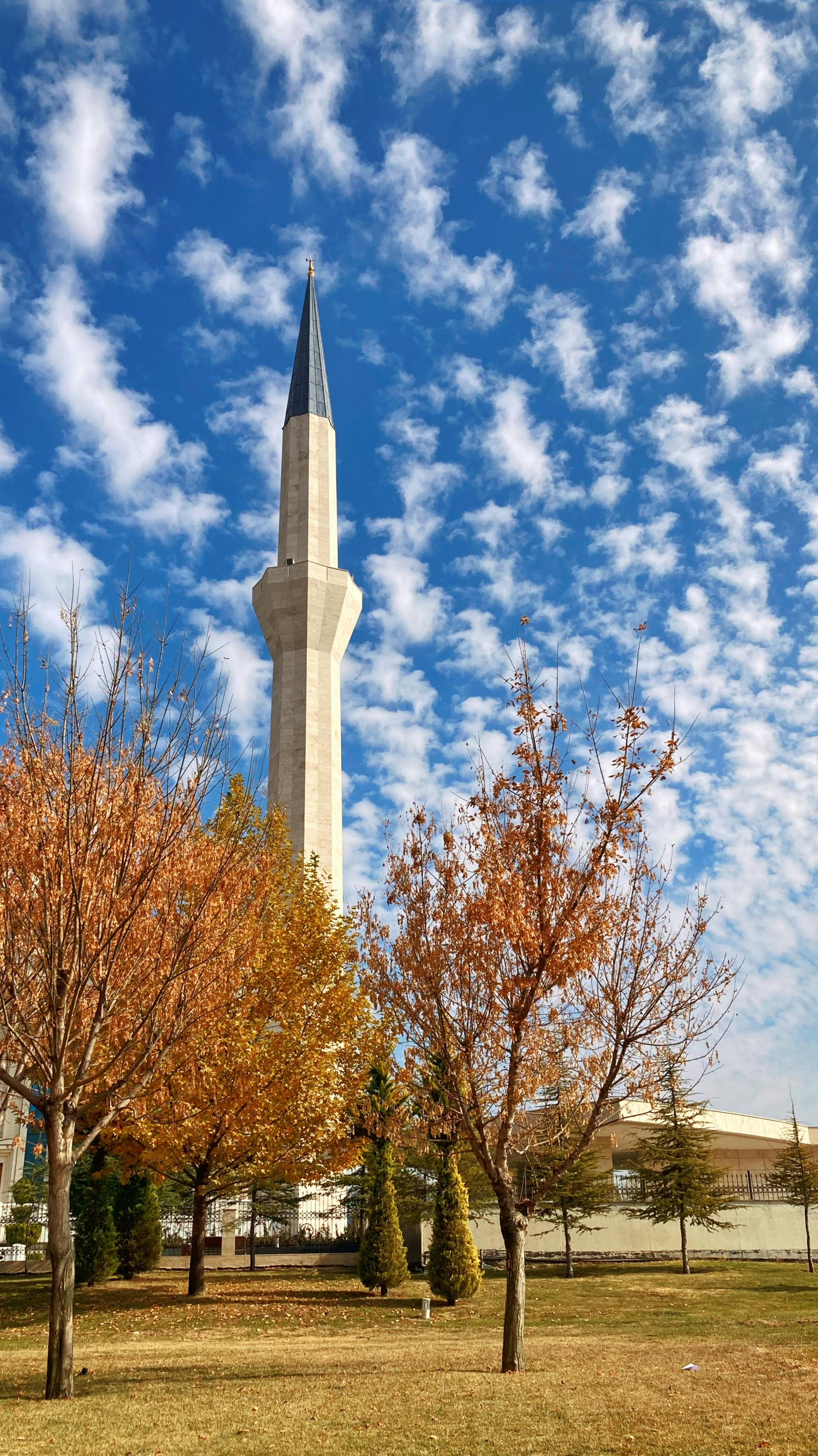 Minaret behind Trees in Park in Autumn · Free Stock Photo