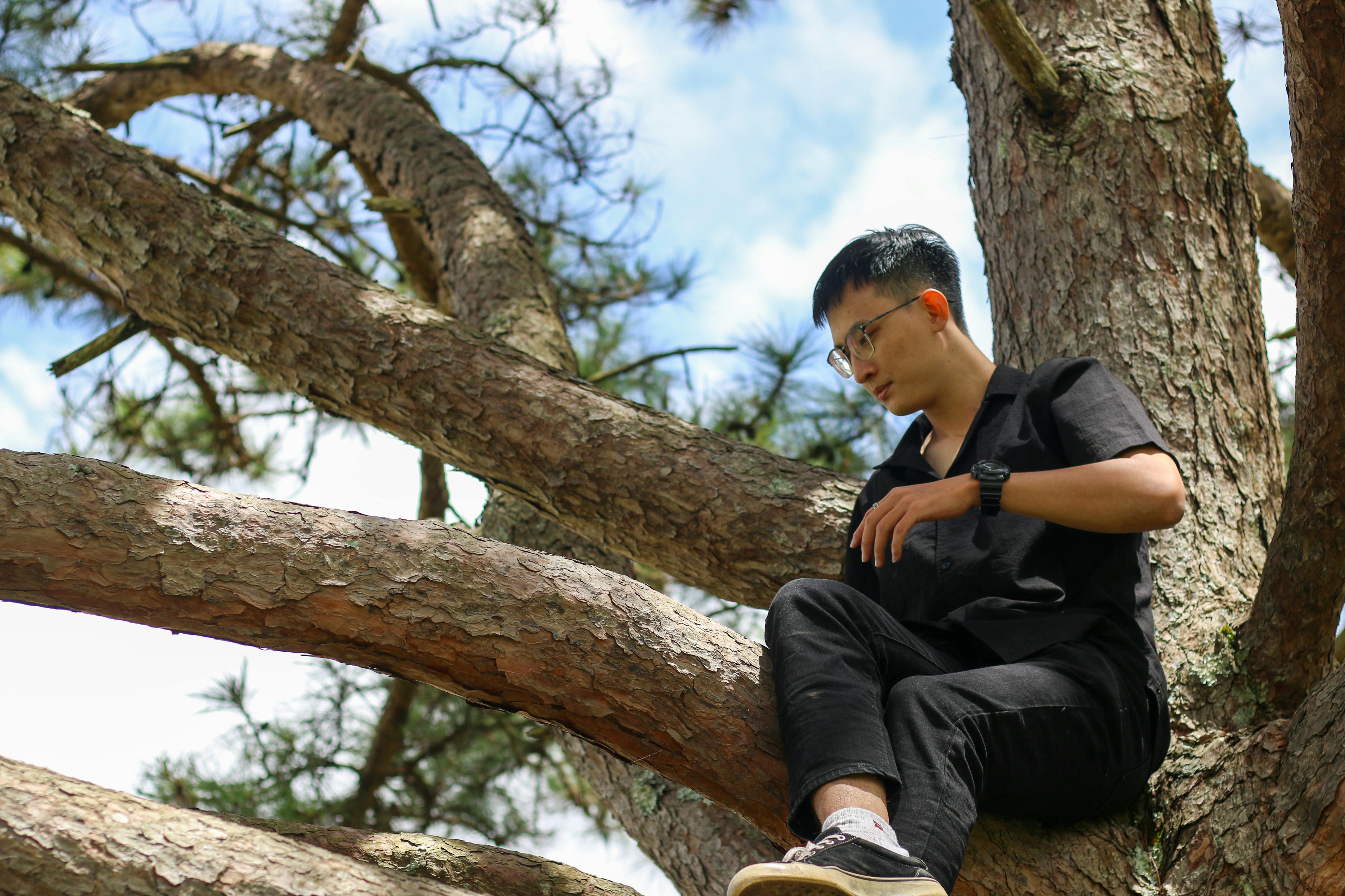 Man on Tree · Free Stock Photo